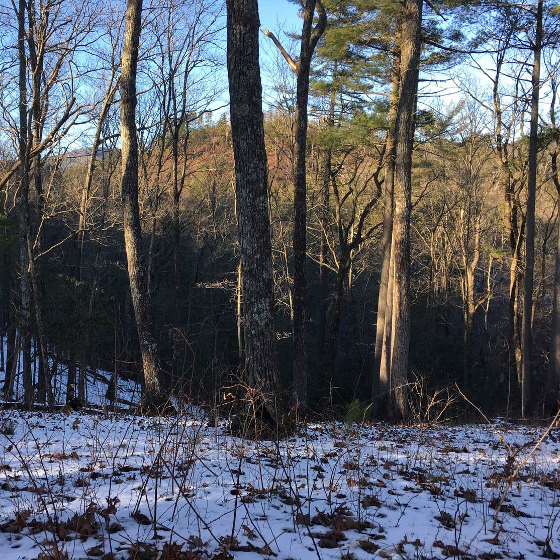 Low Gap Creek Camping | Helen, Georgia