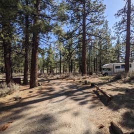 Meadow View Equestrian Campground Camping | The Dyrt