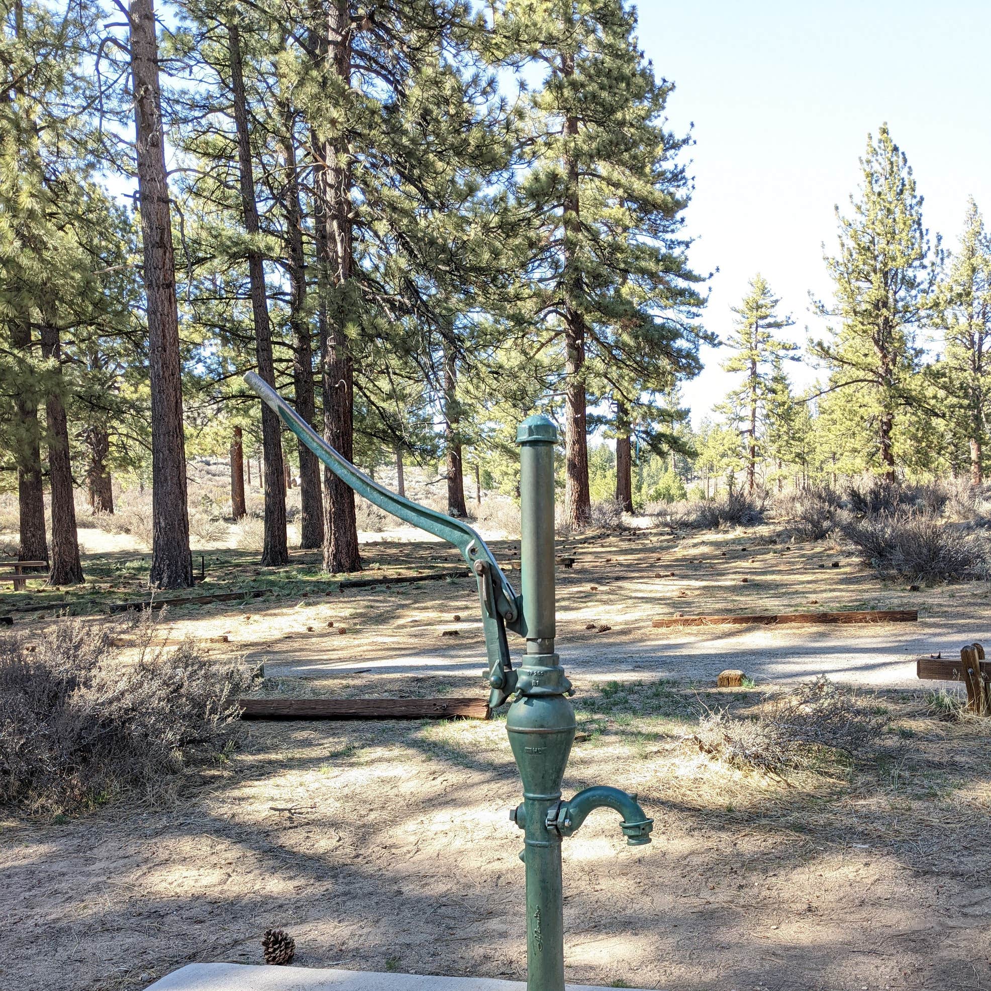 Meadow View Equestrian Campground Camping | The Dyrt
