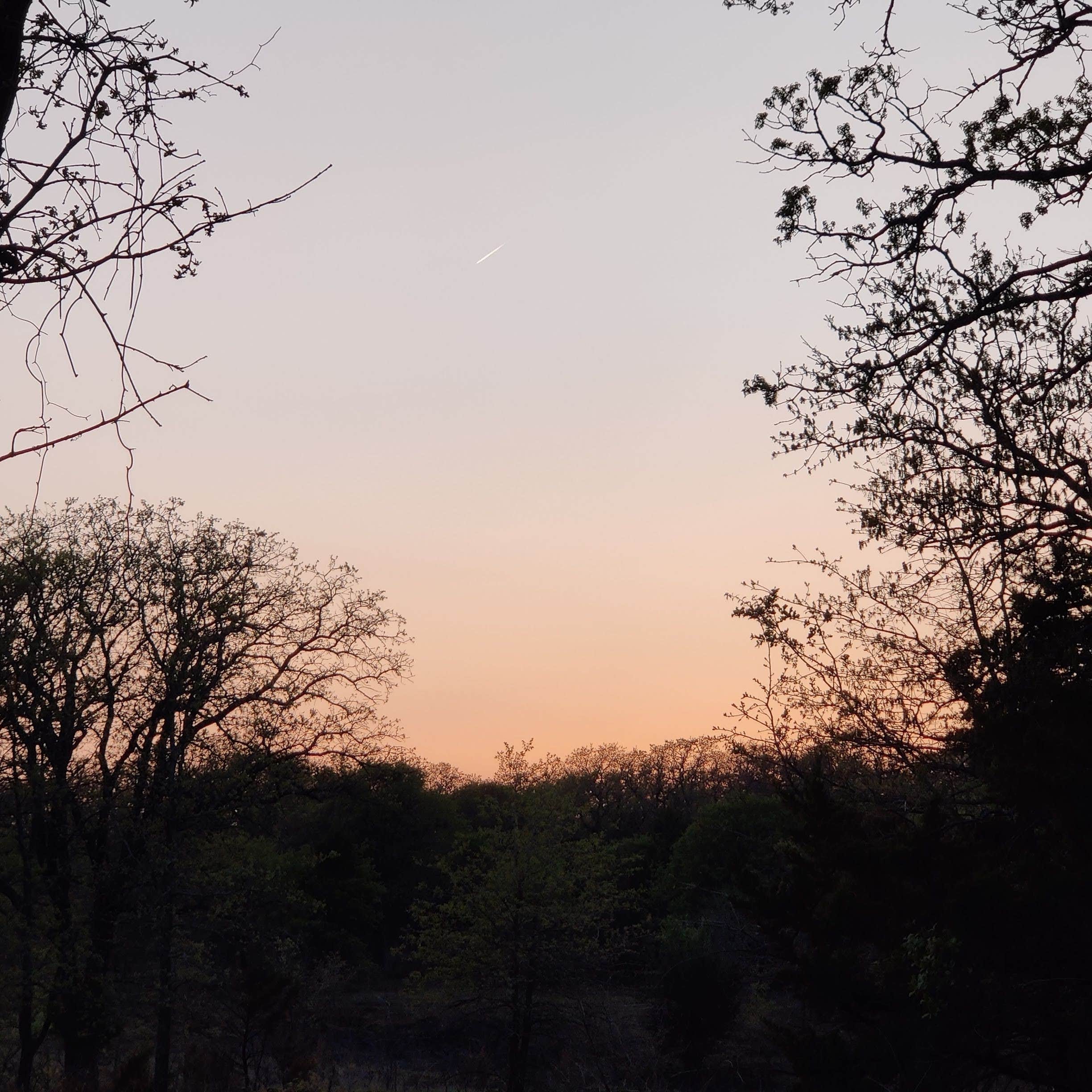 LBJ National Grasslands Forest Road 904 Dispersed Camping Camping | The ...