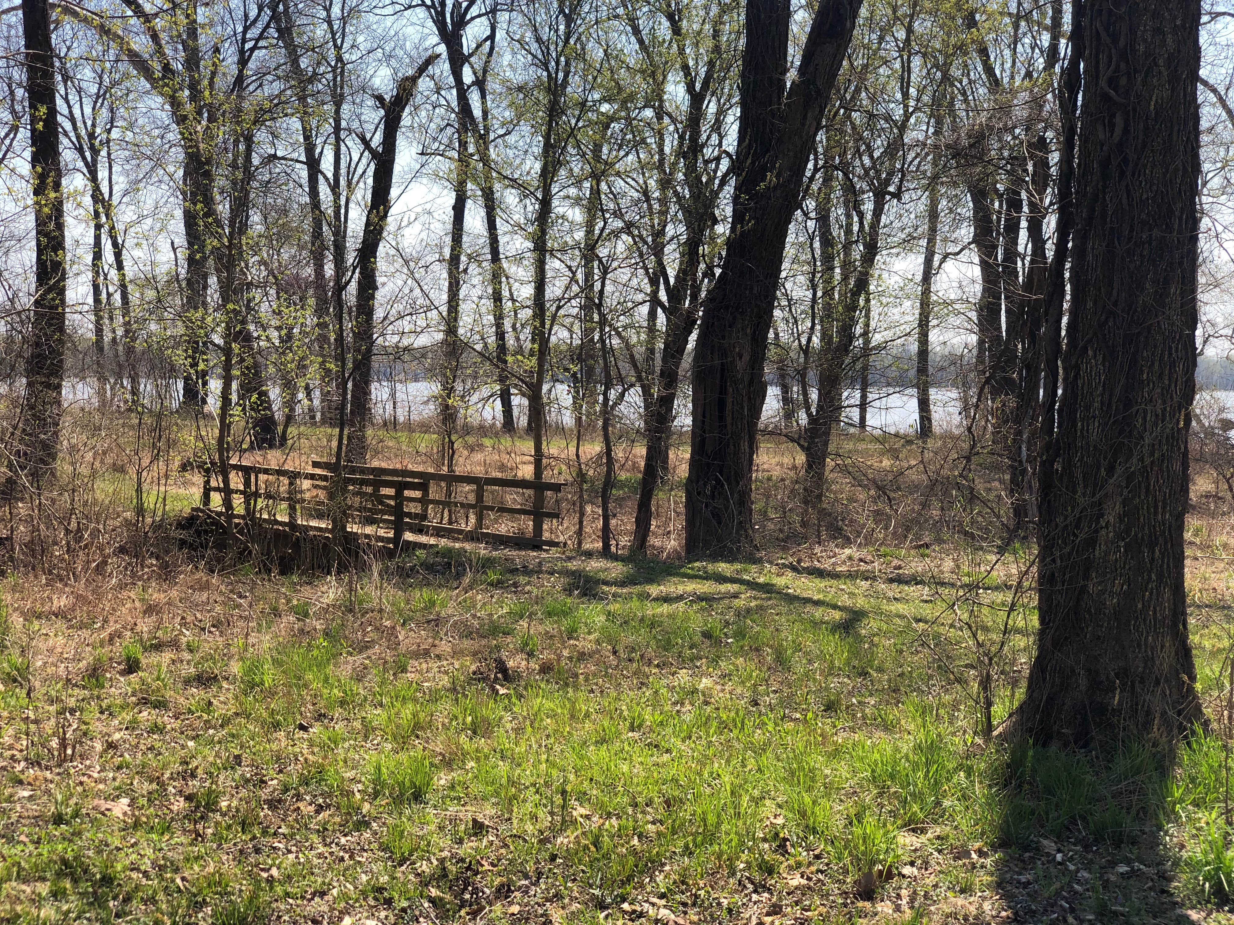 Tower Rock Campground | The Dyrt