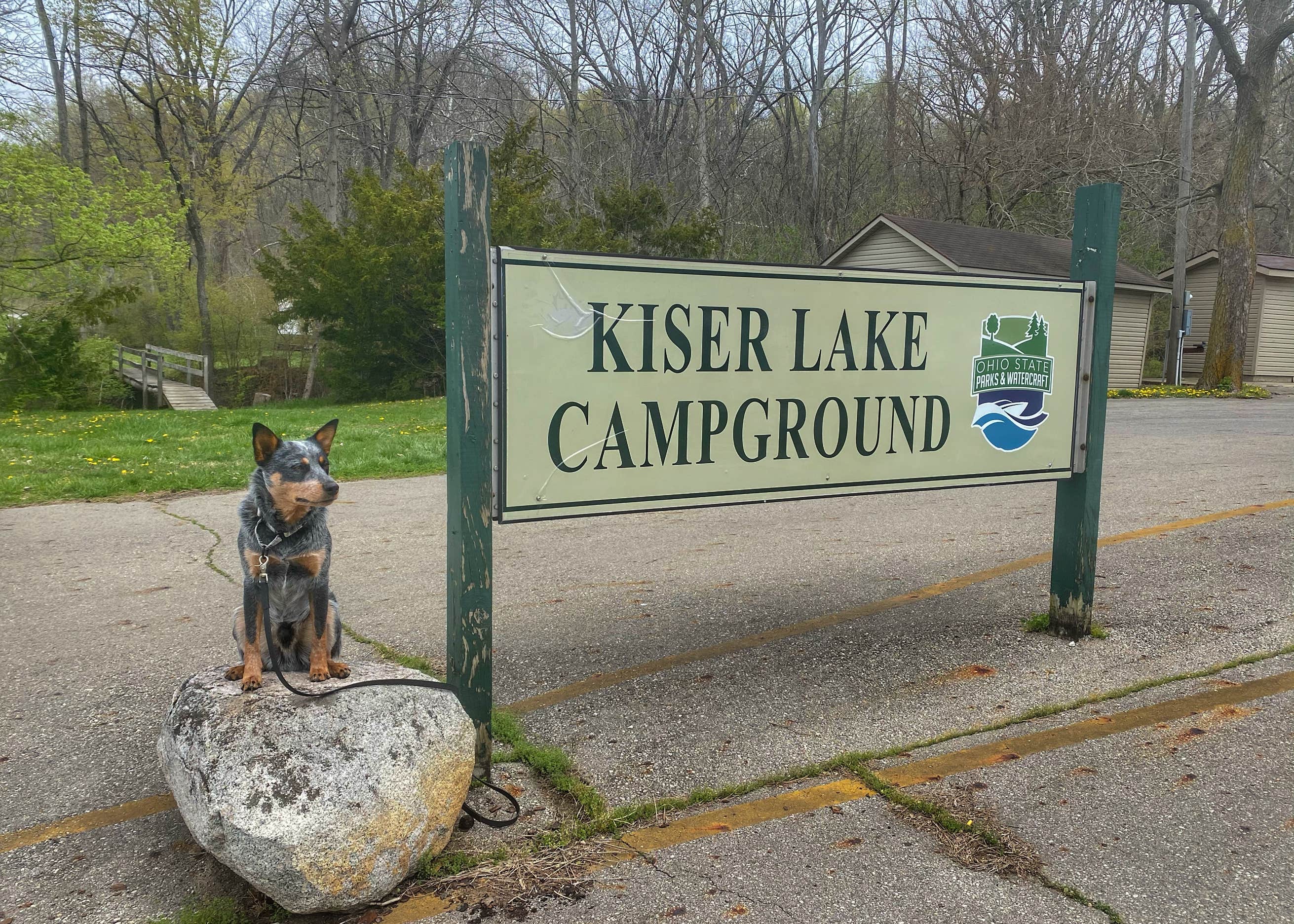 Kiser Lake State Park Camping | The Dyrt