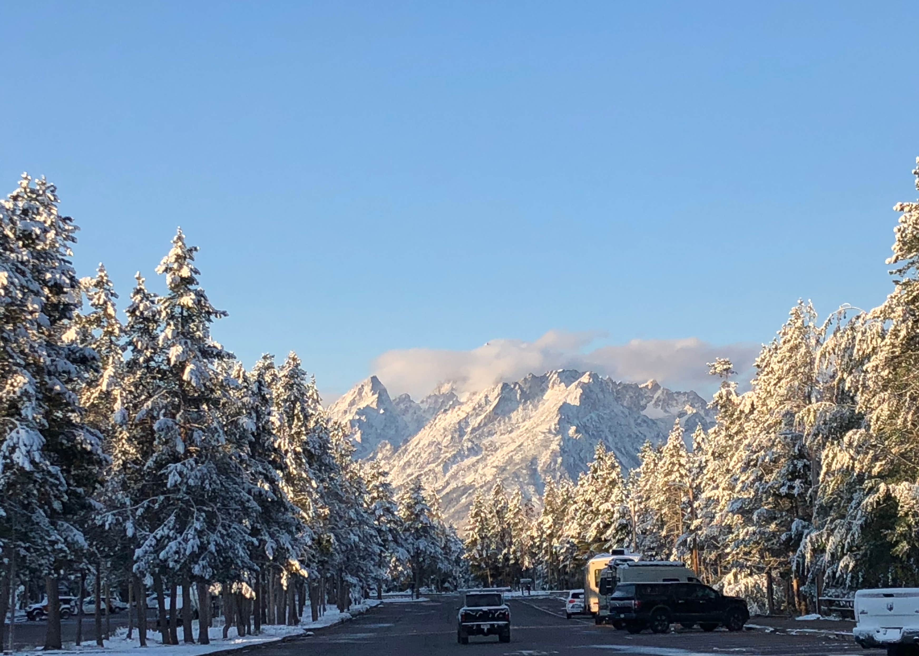 Colter Bay Campground Camping | The Dyrt