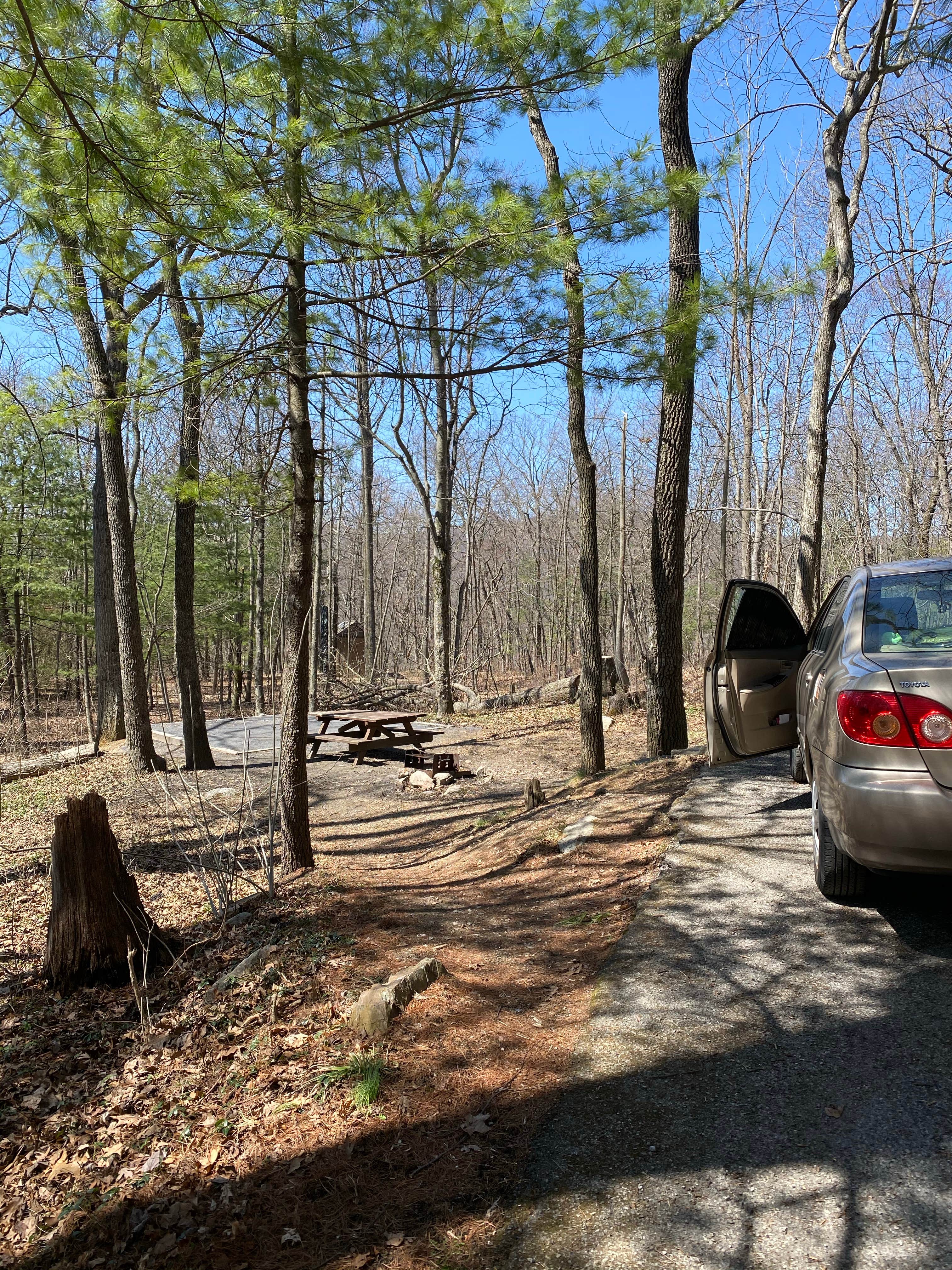 Wolf Gap Recreation Area | The Dyrt