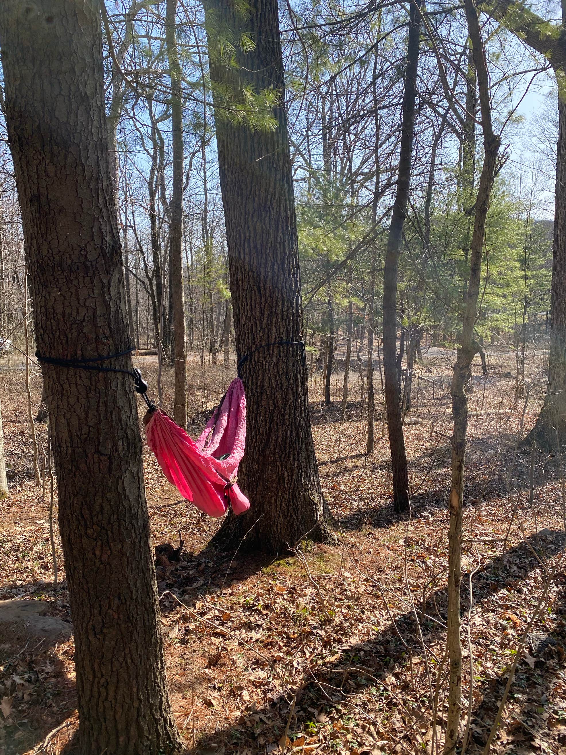 Wolf Gap Recreation Area | The Dyrt