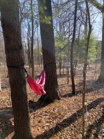 Wolf Gap Recreation Area | The Dyrt