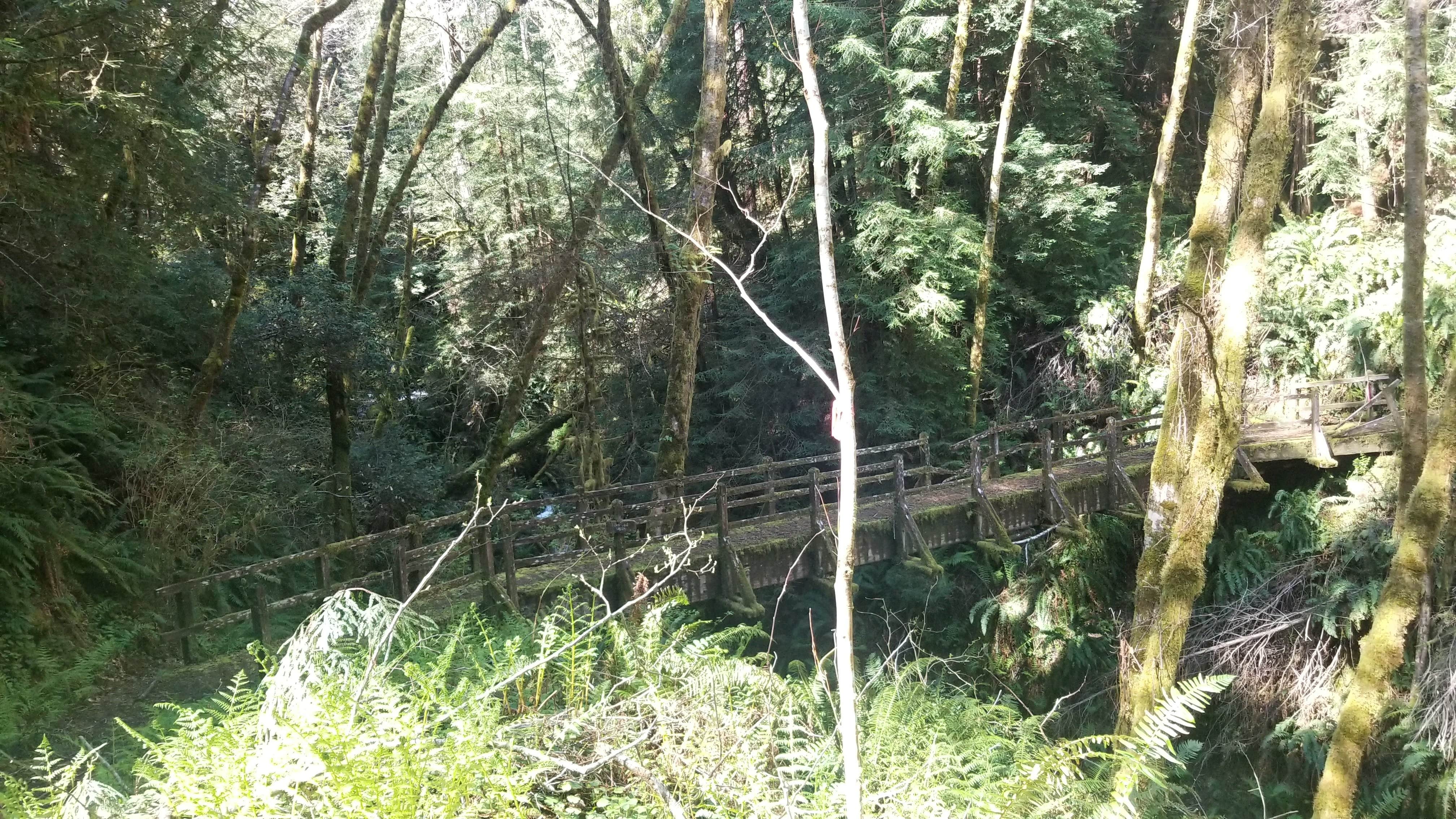 44 Backcountry Camp — Redwood National Park | Orick, CA