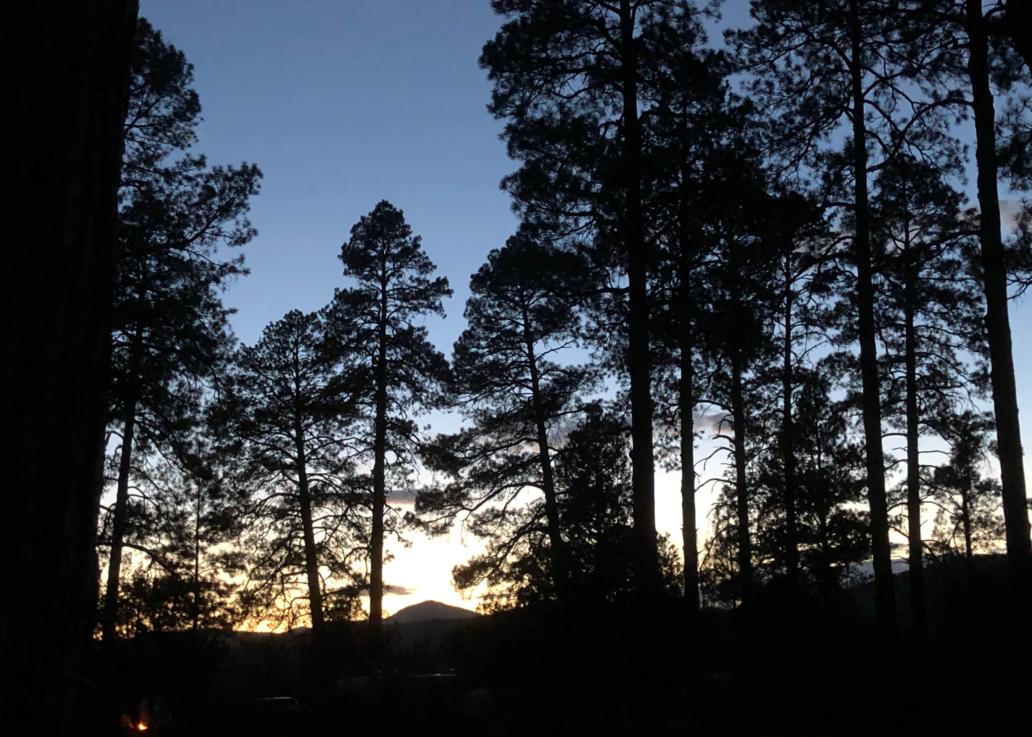 Apache Creek Campground Camping | The Dyrt