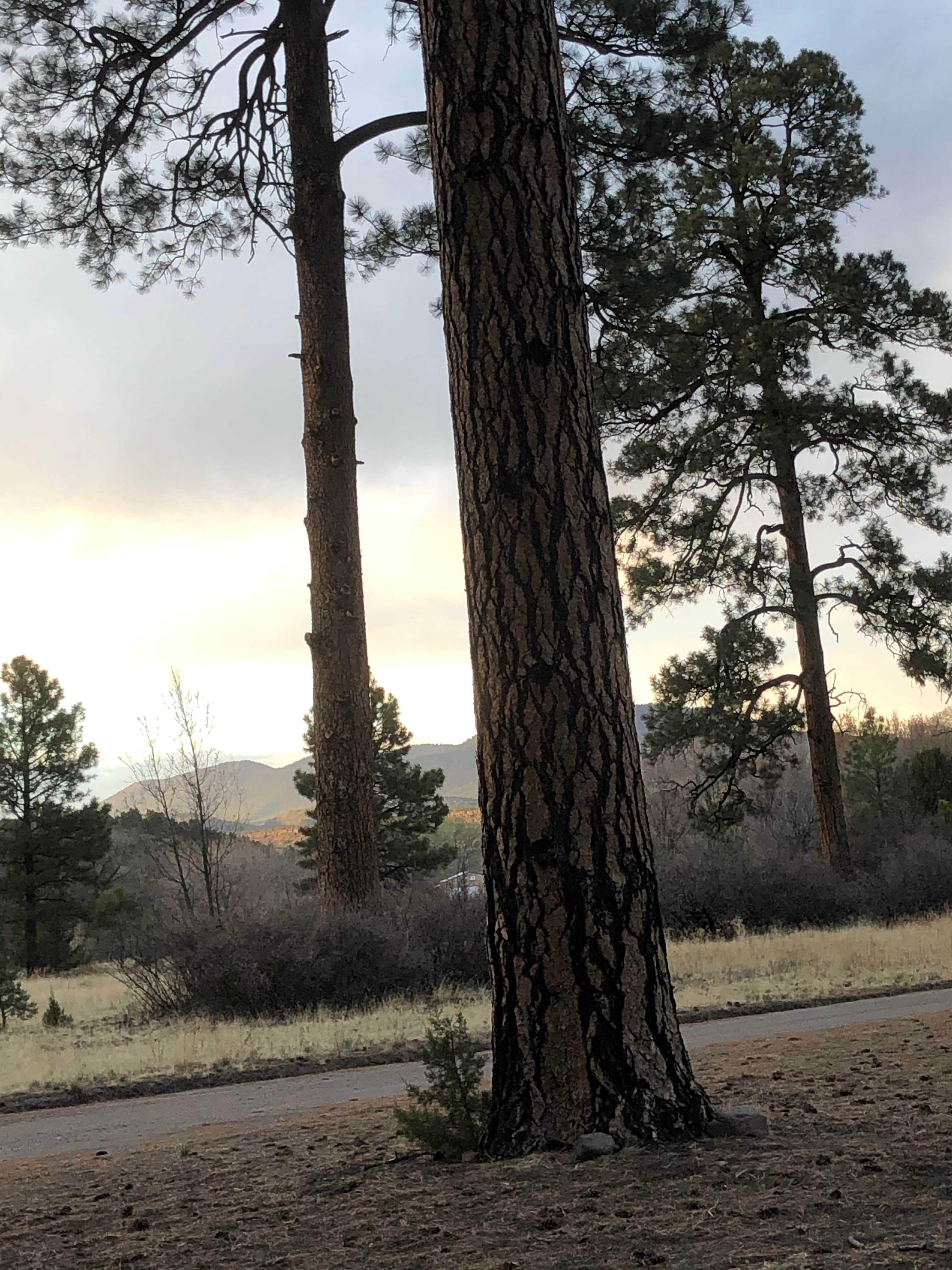 Apache Creek Campground | The Dyrt