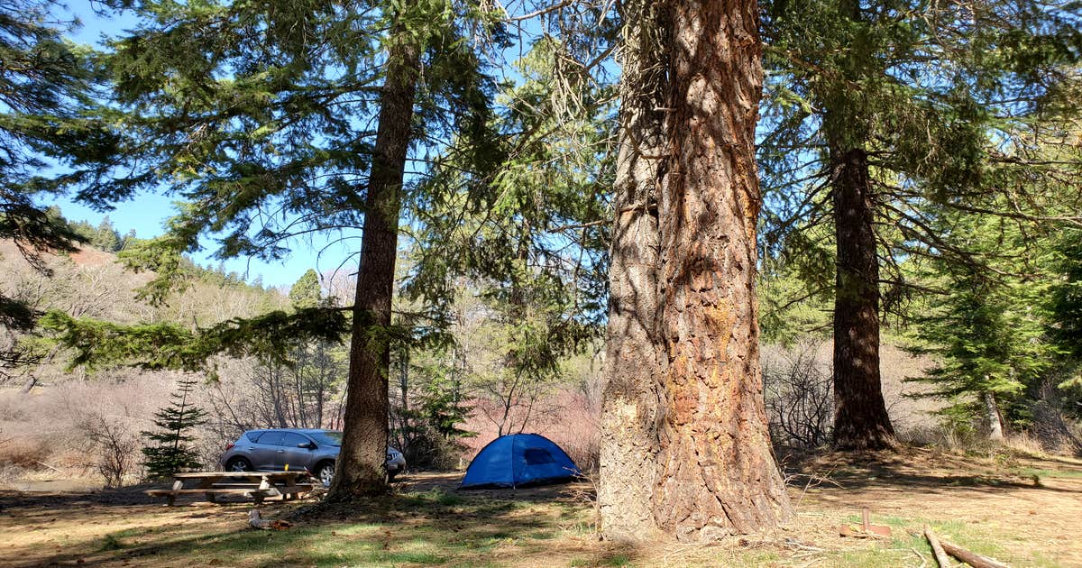 Liberty Recreation Site Camping | Liberty, WA