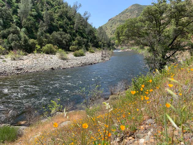 McCabe Flat Campground | The Dyrt