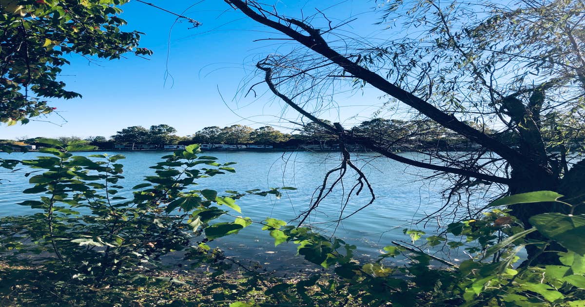 Dogwood Loop Campground | Leopold, Indiana