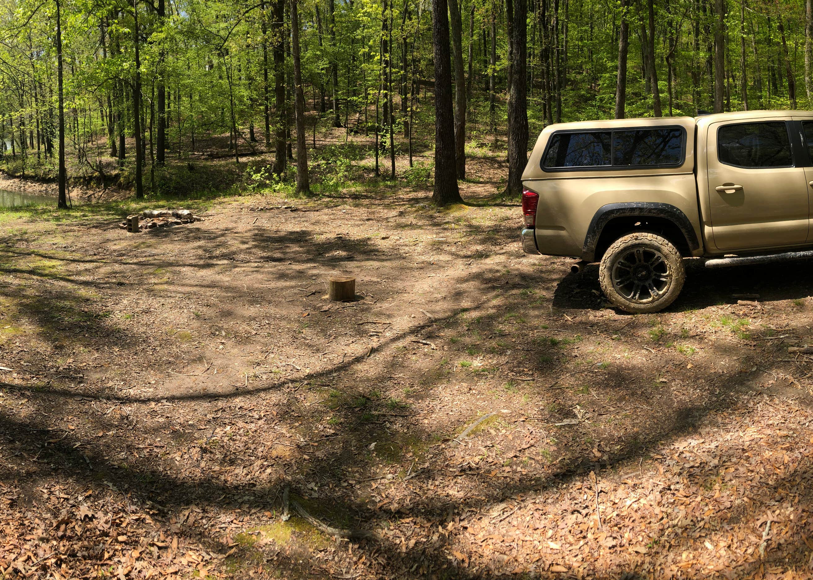 Ginger Bay Basic Camping Area Camping | The Dyrt