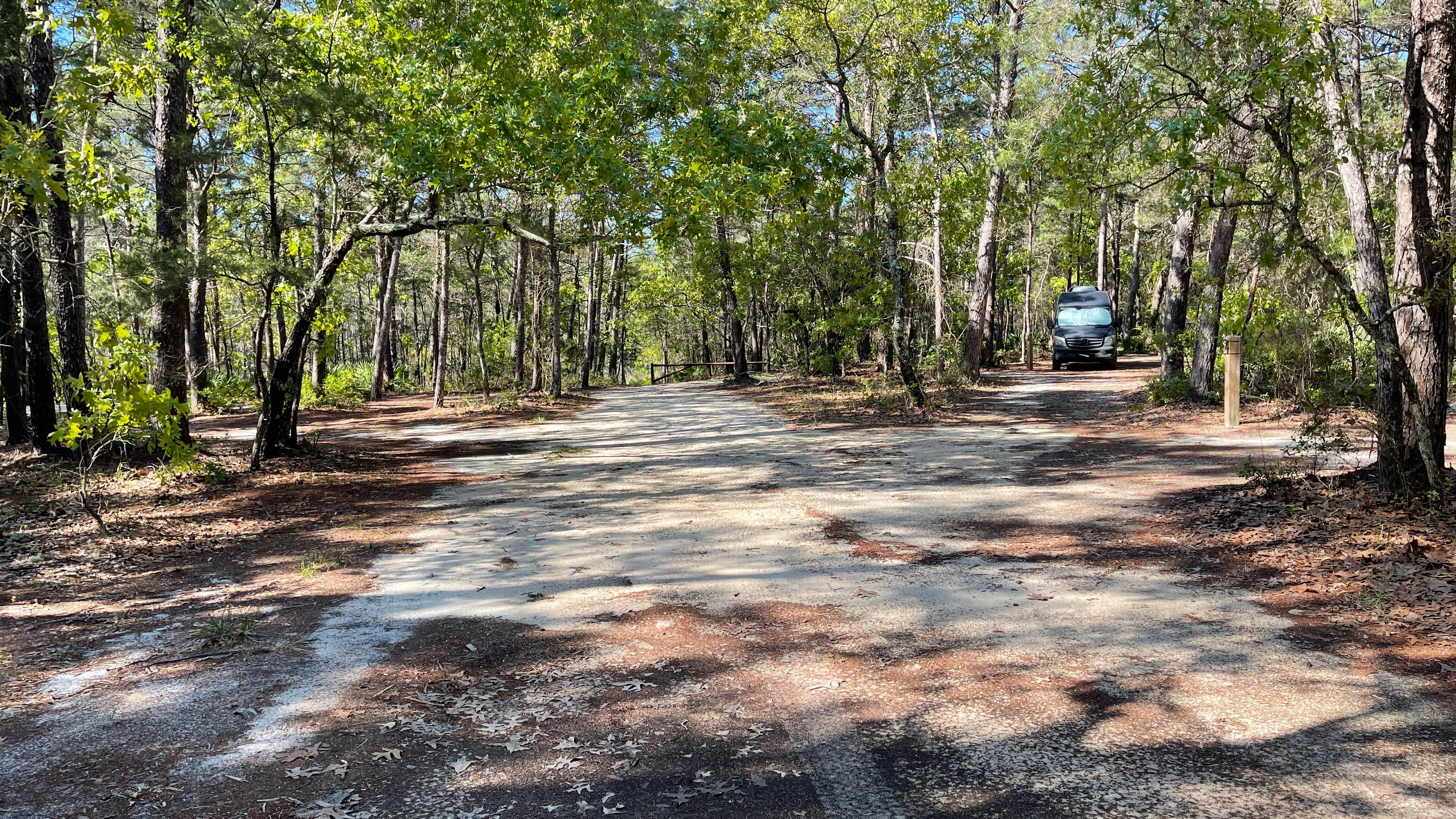 Point Washington | The Dyrt