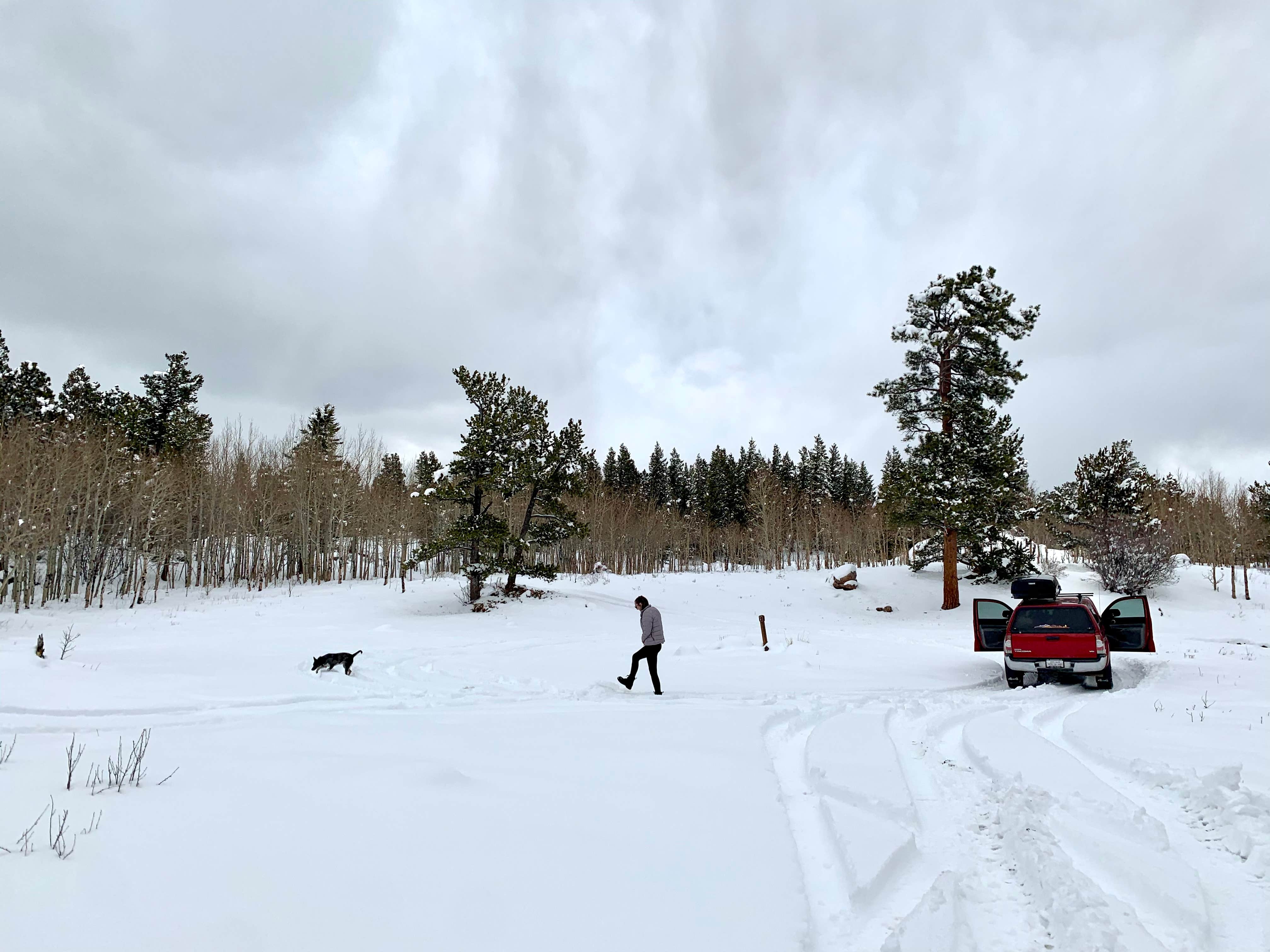 Gordon Gulch Dispersed Area | The Dyrt