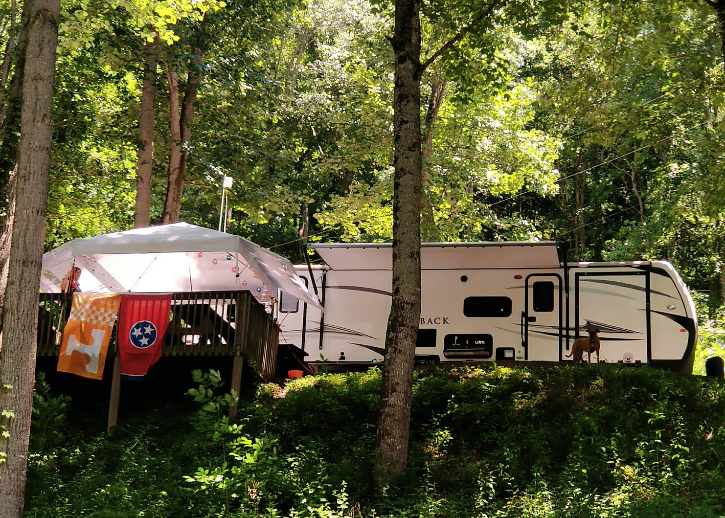 Plumtree Campground & Retreat Camping | Plumtree, NC | The Dyrt