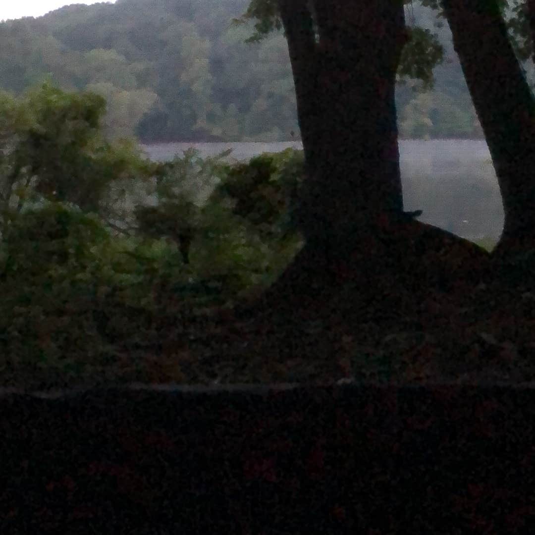 Ginger Bay Basic Camping Area | Barkley Lake, Kentucky