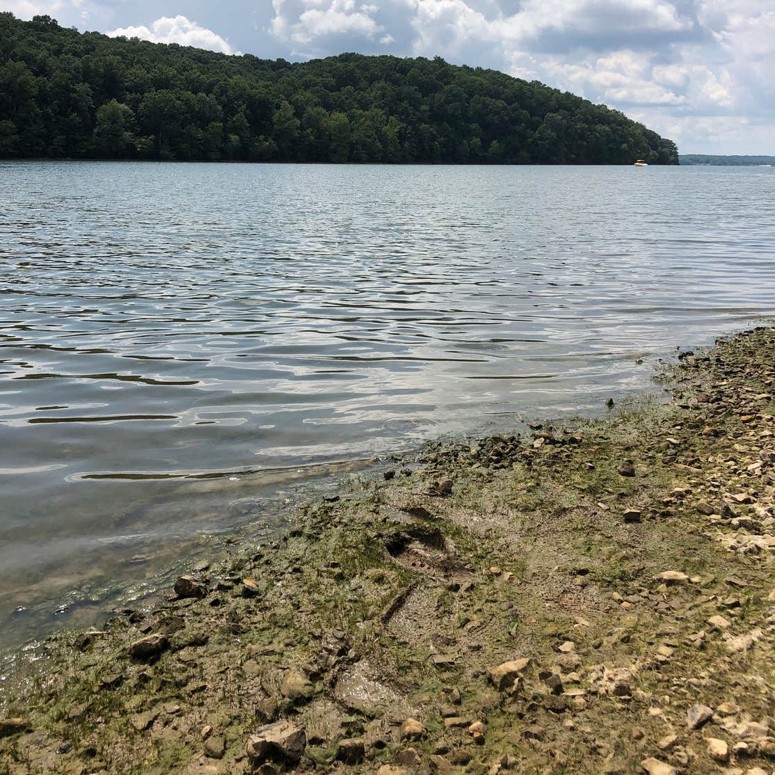 Ginger Bay Basic Camping Area | Dover, TN