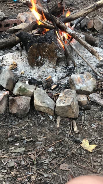 Ginger Bay Camping | The Dyrt