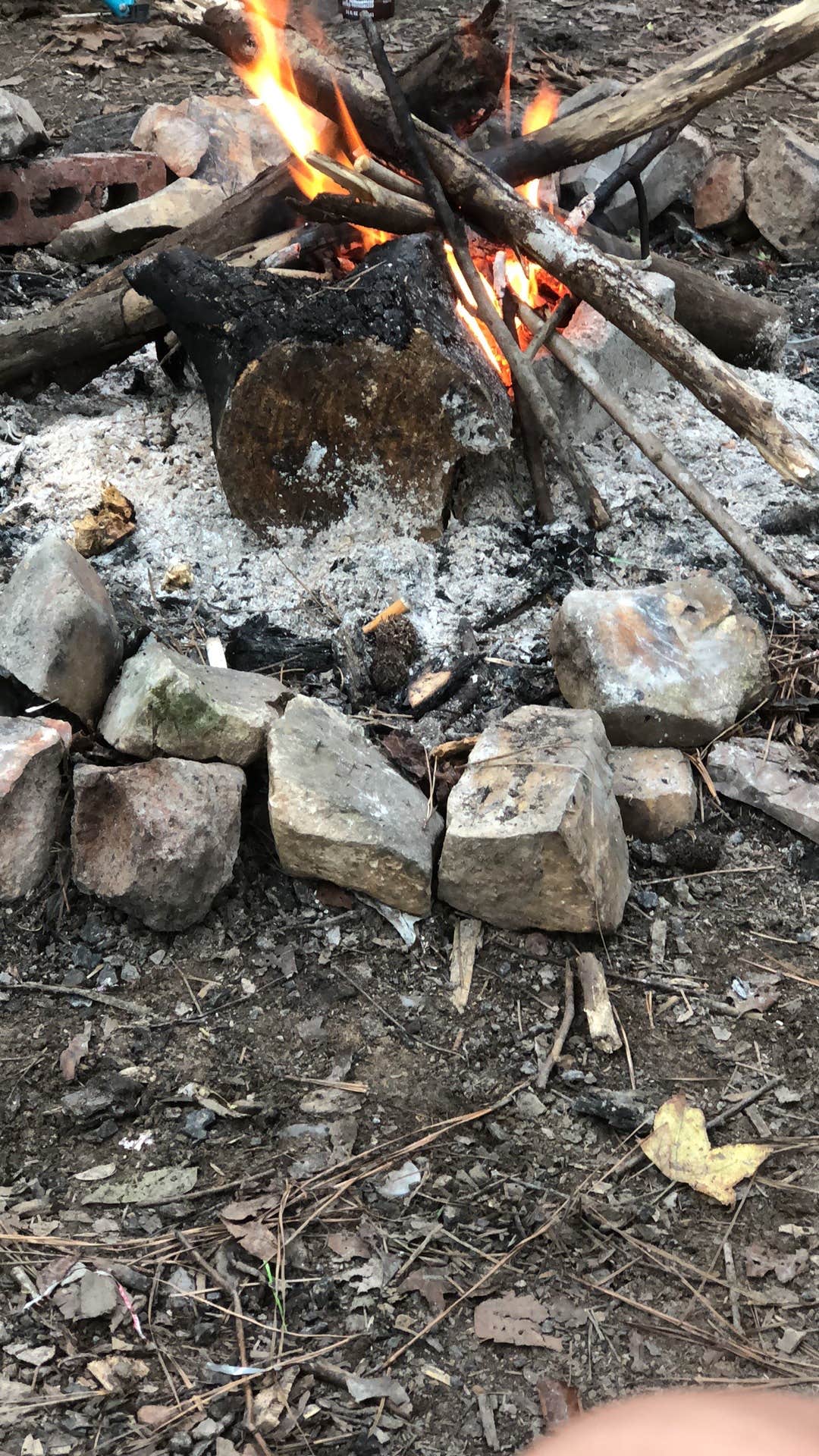 Ginger Bay Basic Camping Area | Dover, TN