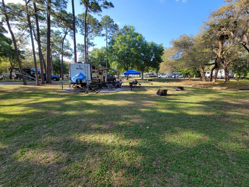 Salt Springs Recreation Area | The Dyrt