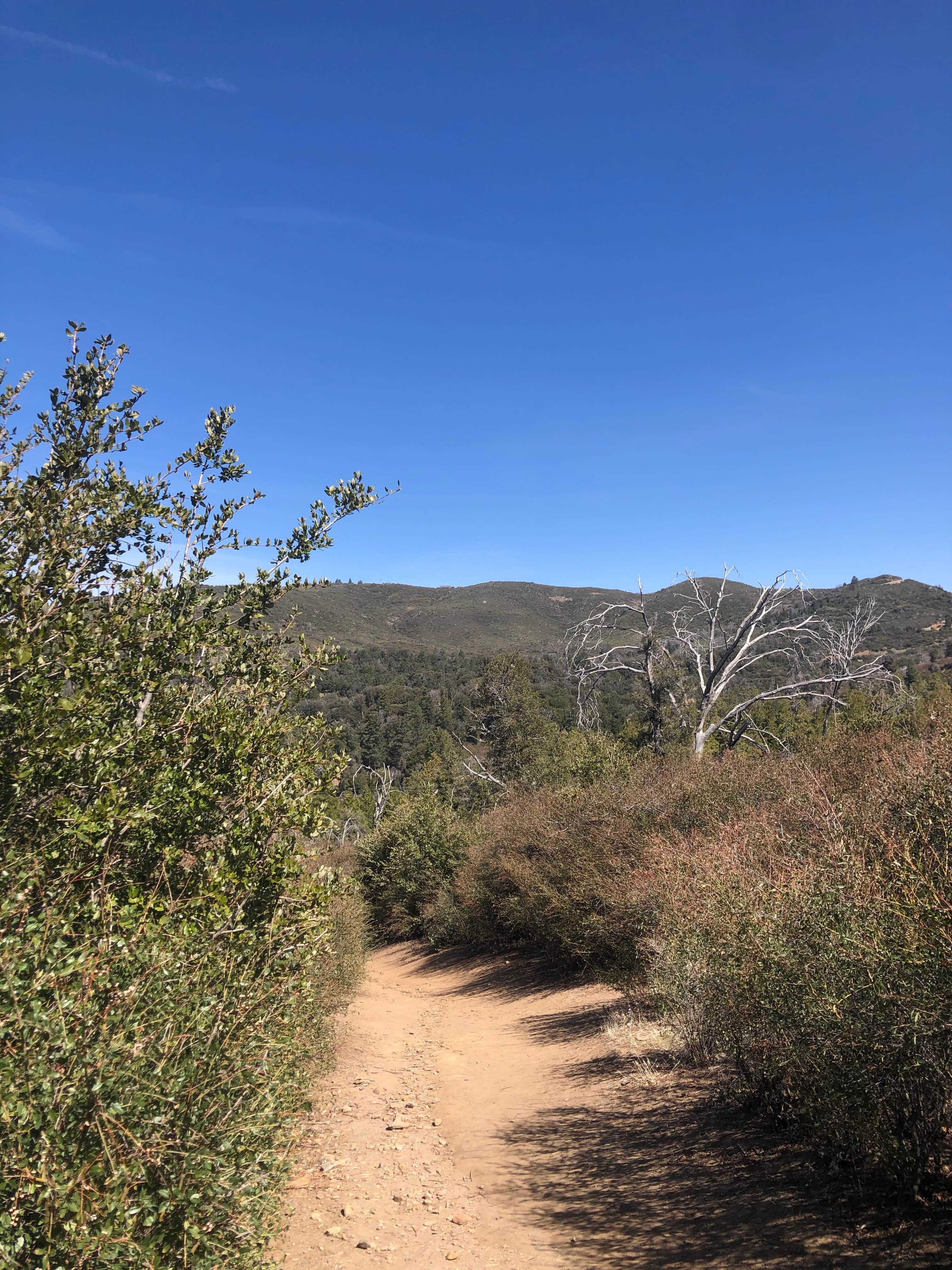 William Heise County Park | The Dyrt