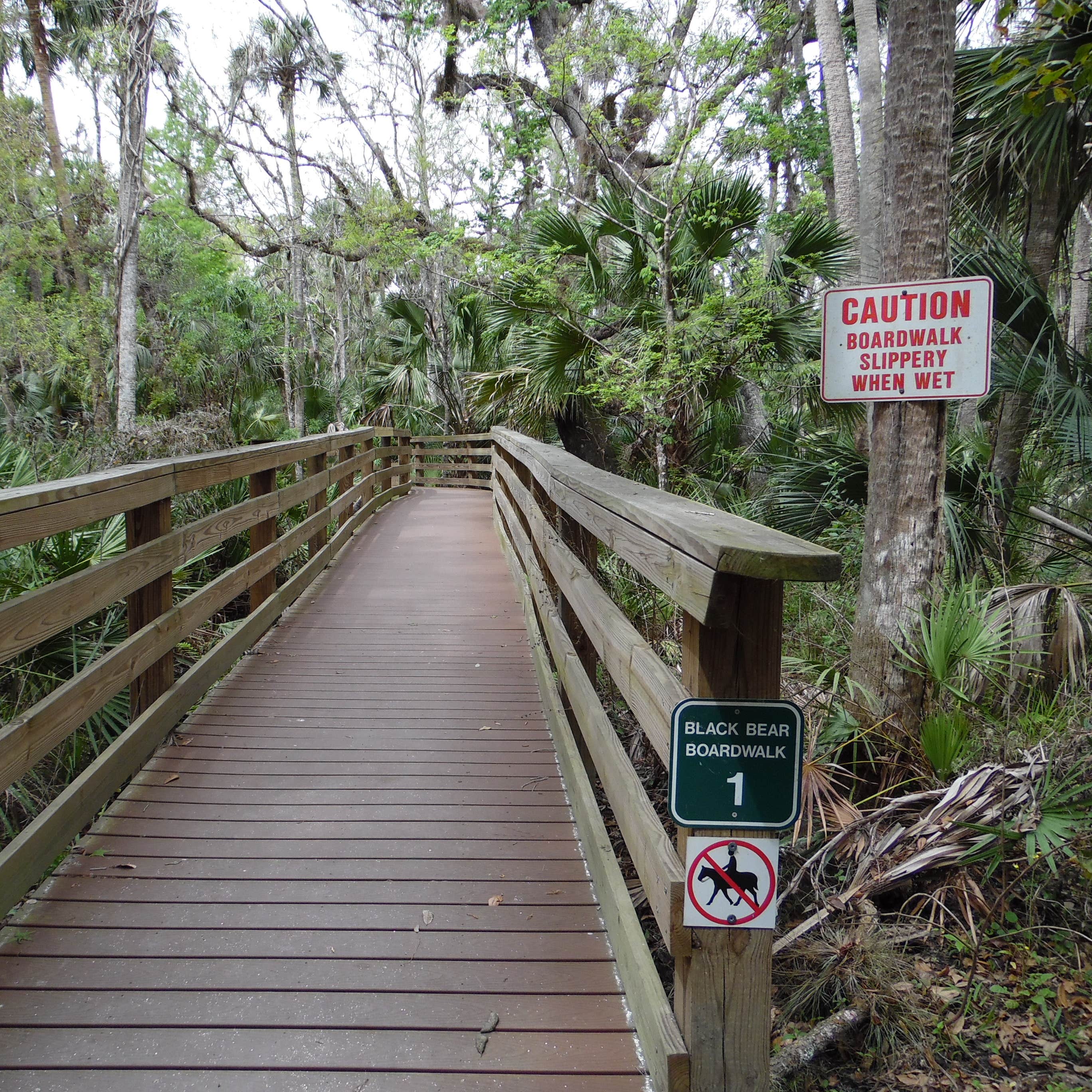 Black Bear Wilderness Area Camping | DeBary, Florida