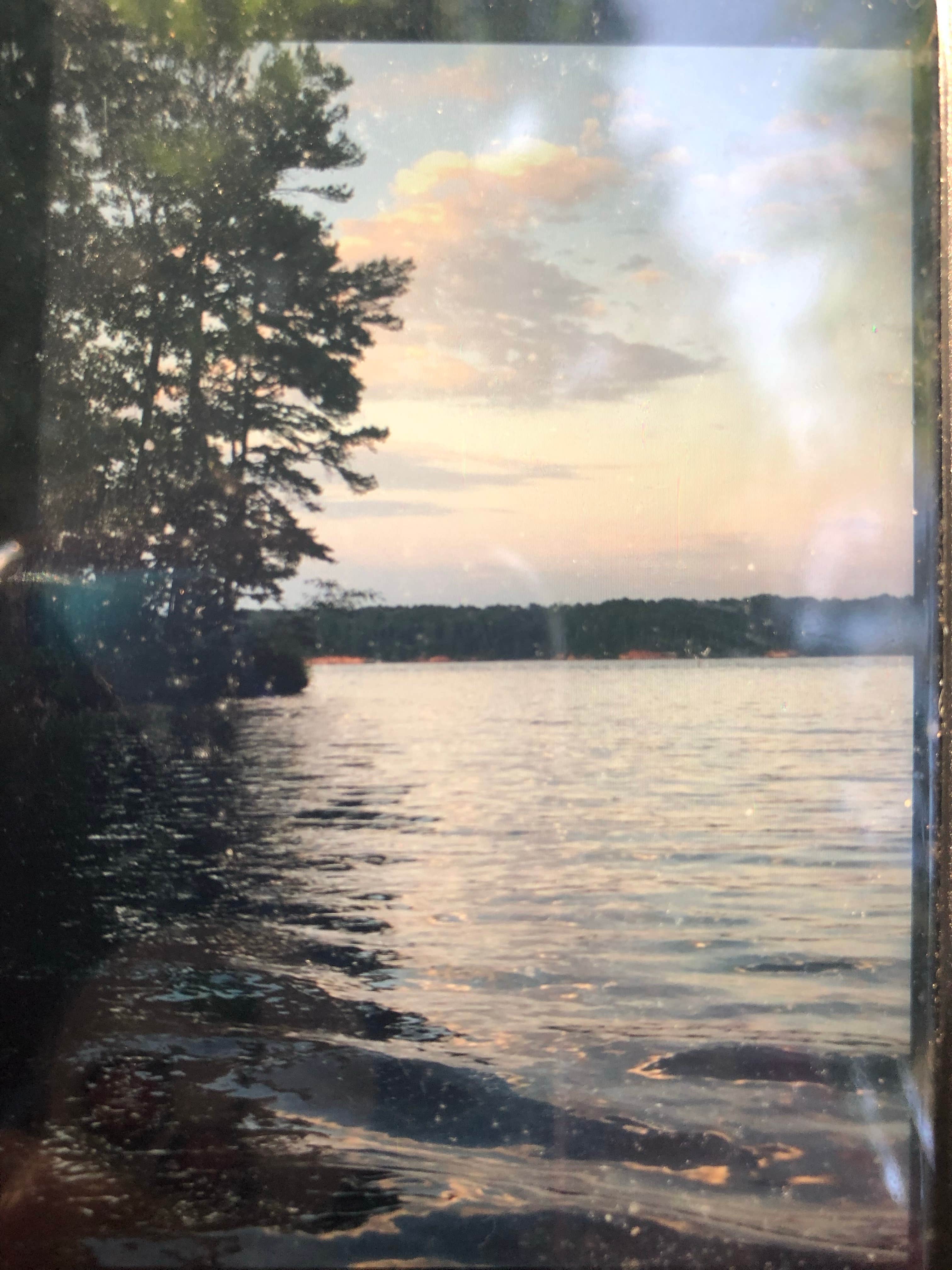 Piney Grove | The Dyrt