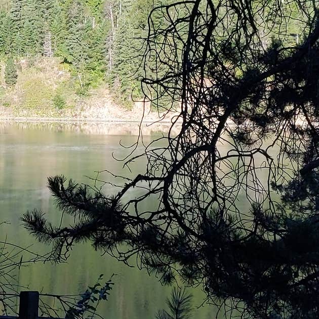 Edgewater Campground | Ione, Washington