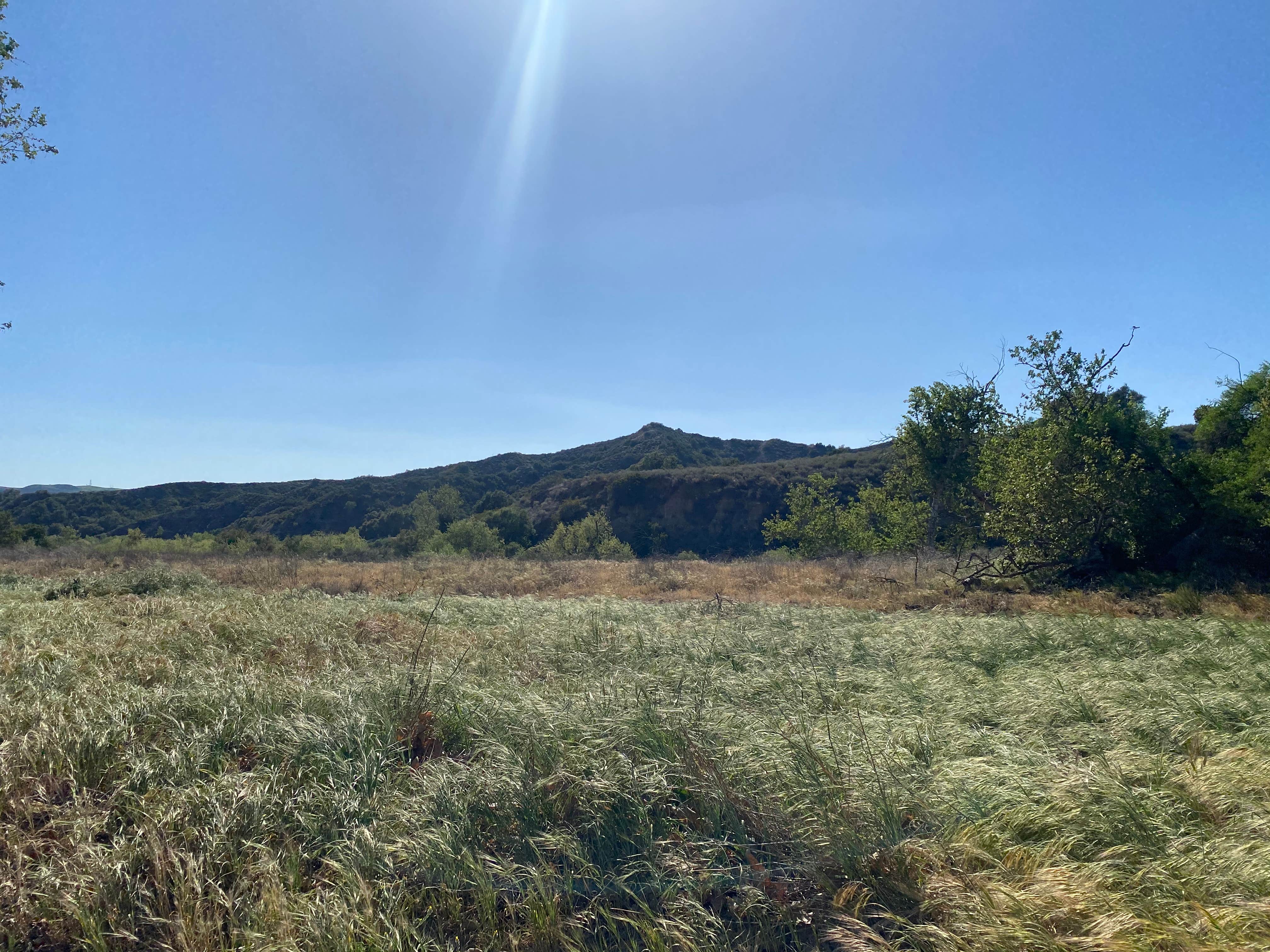 Caspers Wilderness County Park | The Dyrt