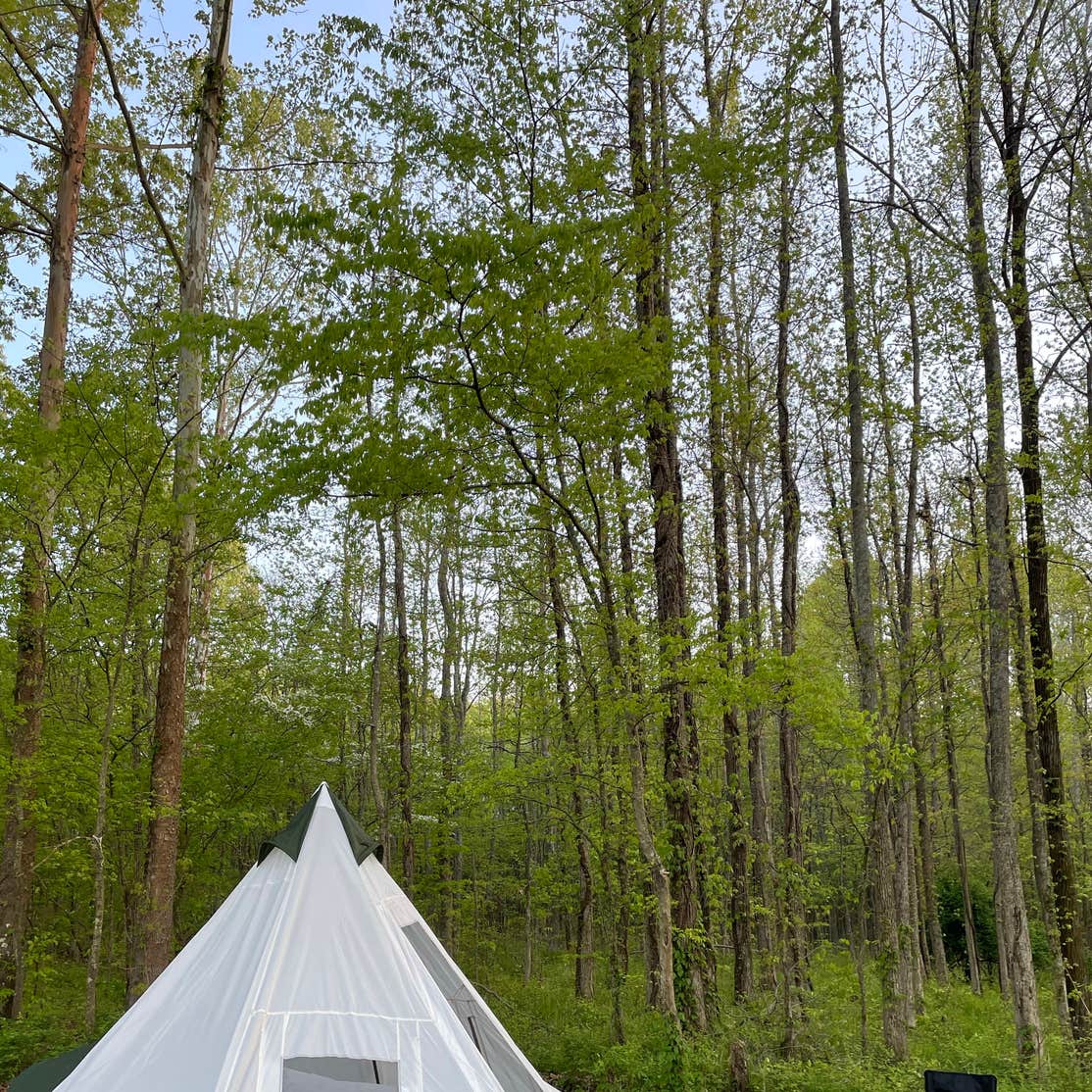 Gatlin Point Self-Service Campground | Bumpus Mills, Tennessee