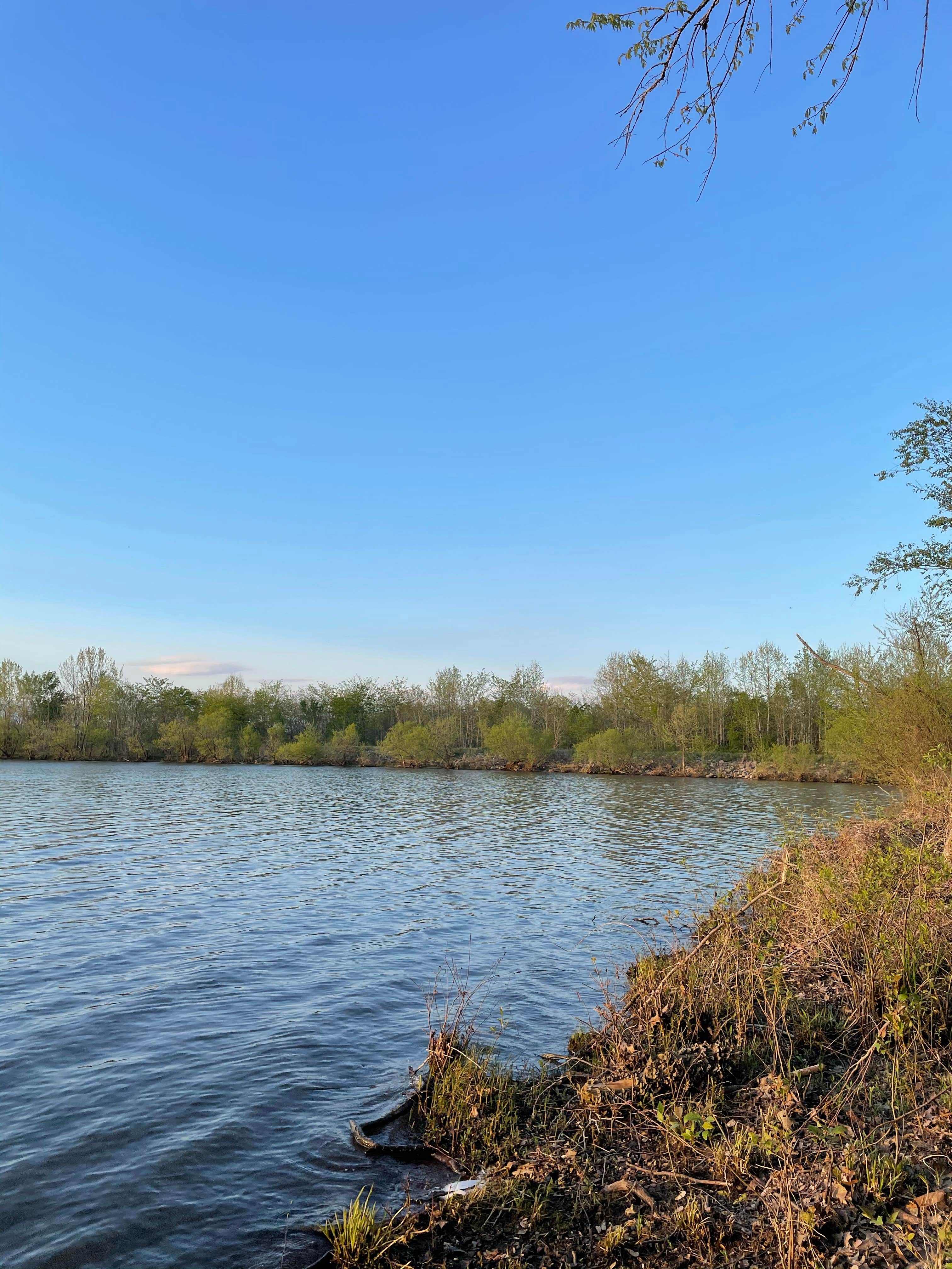 Gatlin Point Self-Service Campground | Dover, TN