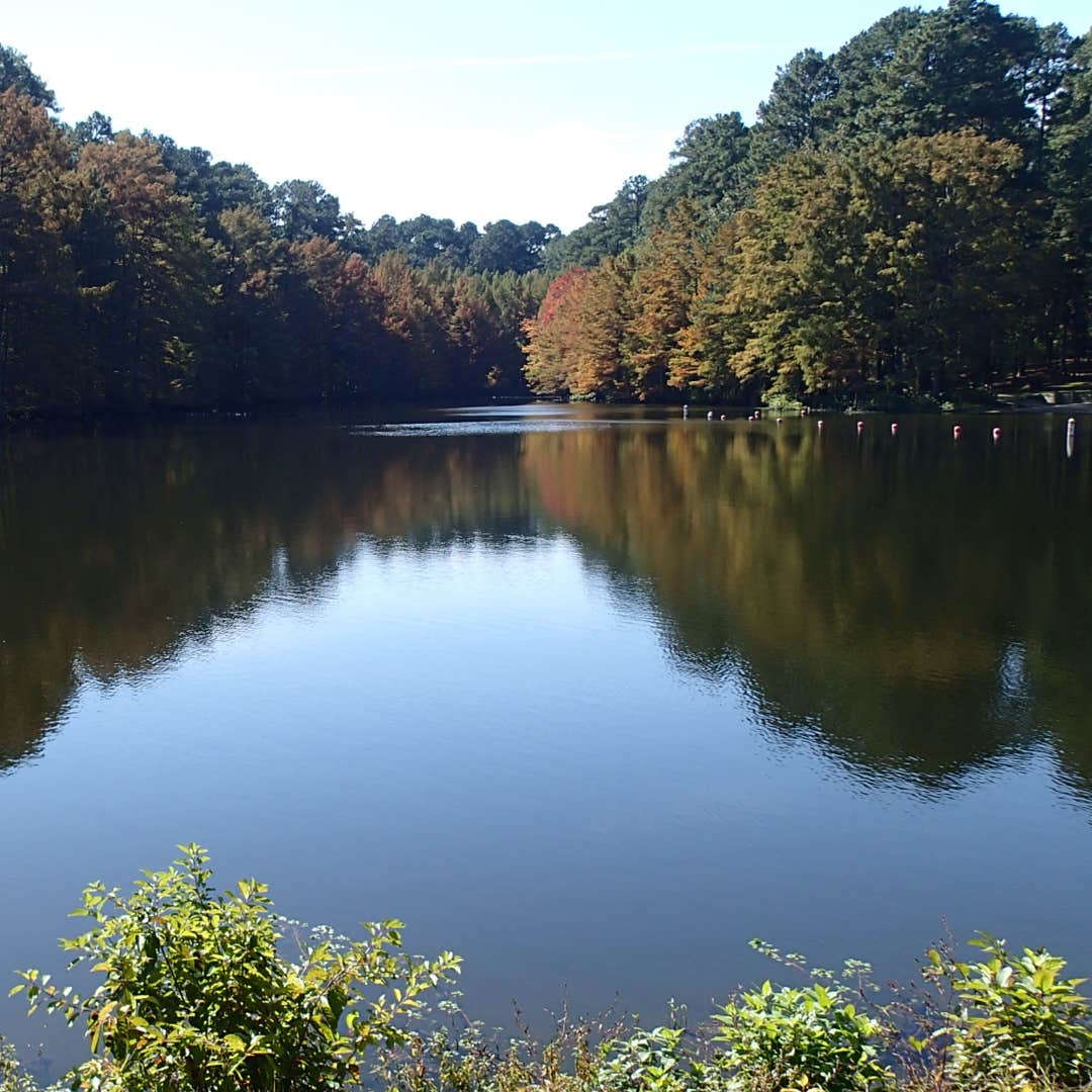 Stuart Lake NF Campground Camping | The Dyrt