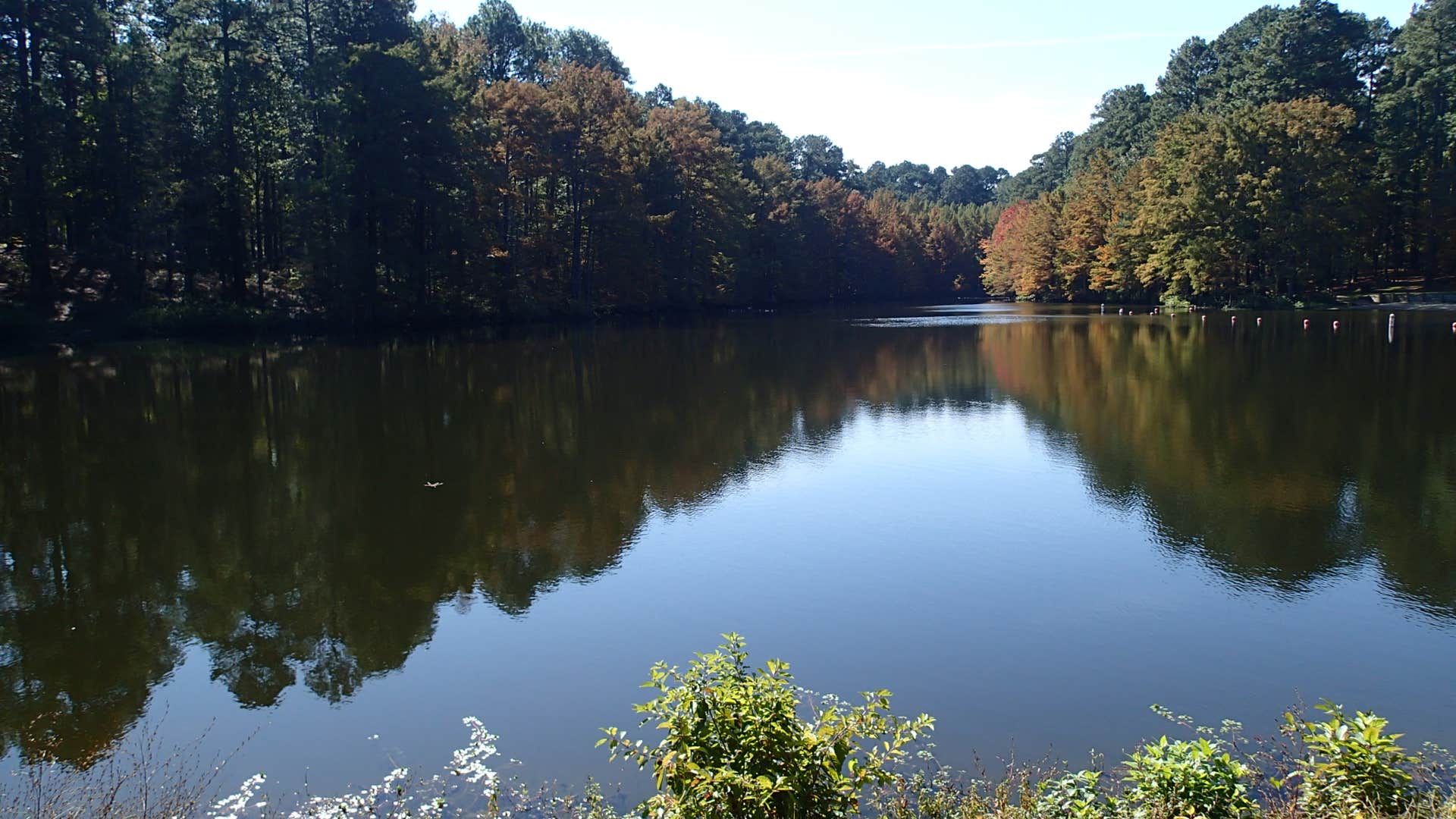 Stuart Lake NF Campground | Pineville, LA