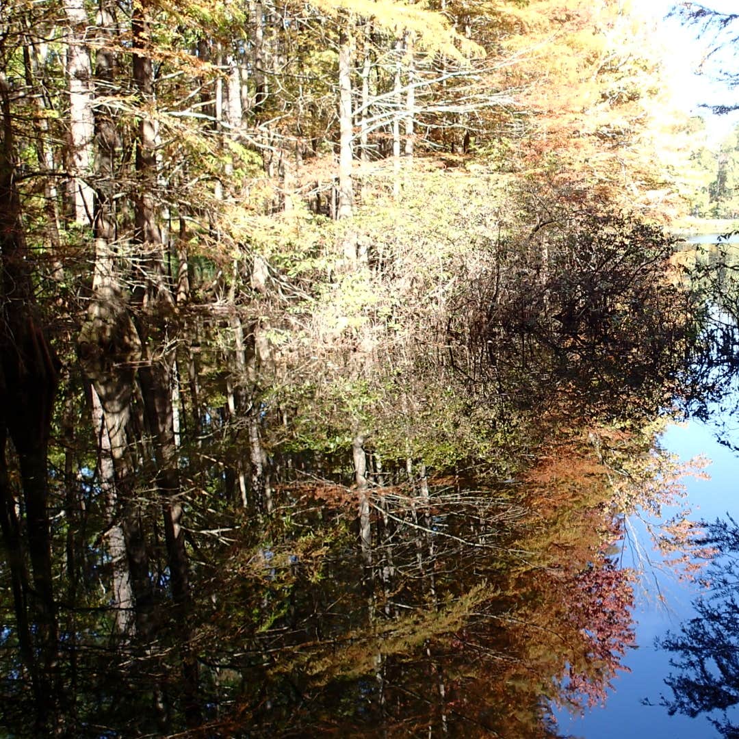 Stuart Lake NF Campground Camping | The Dyrt