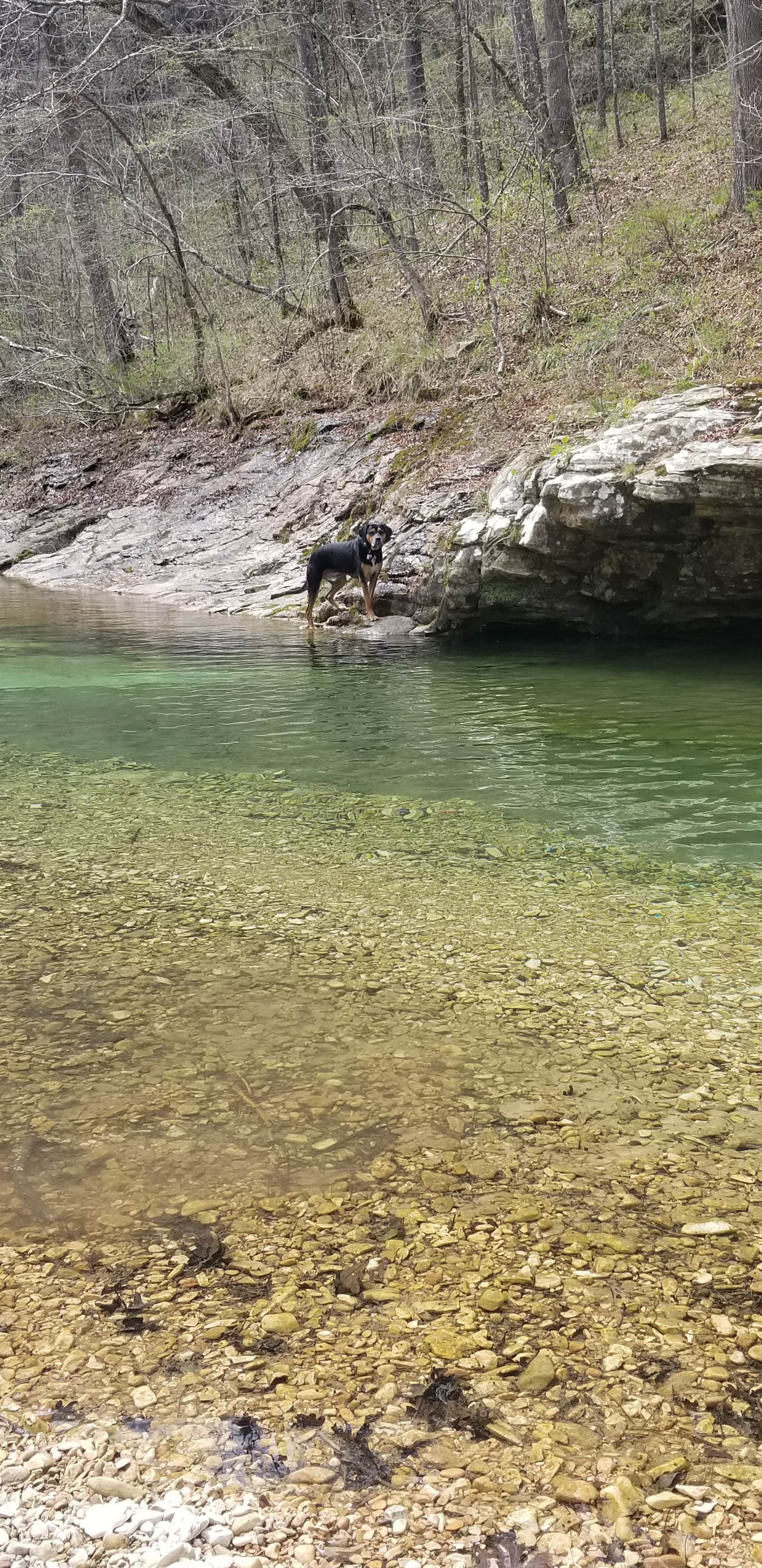 Gunner Pool Recreation Area | The Dyrt