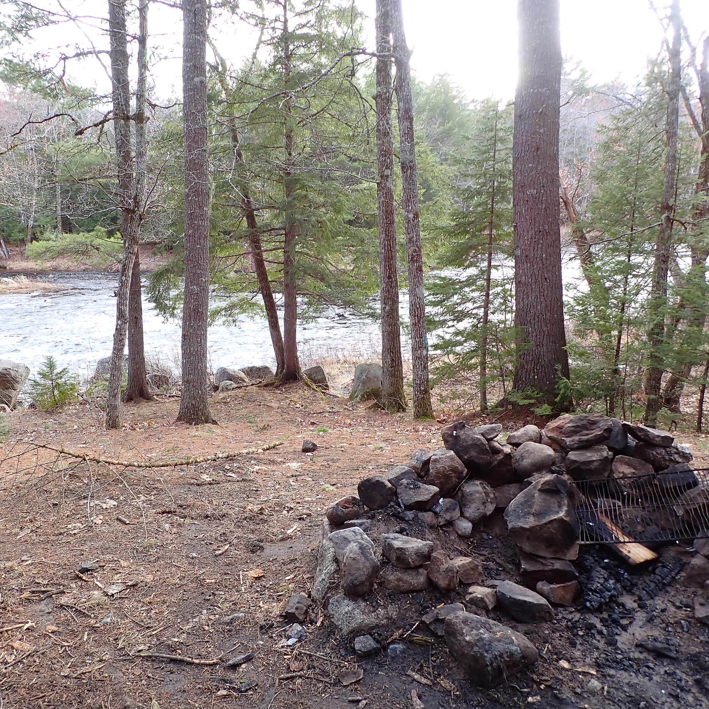 Machias Rips Campsite Camping | The Dyrt