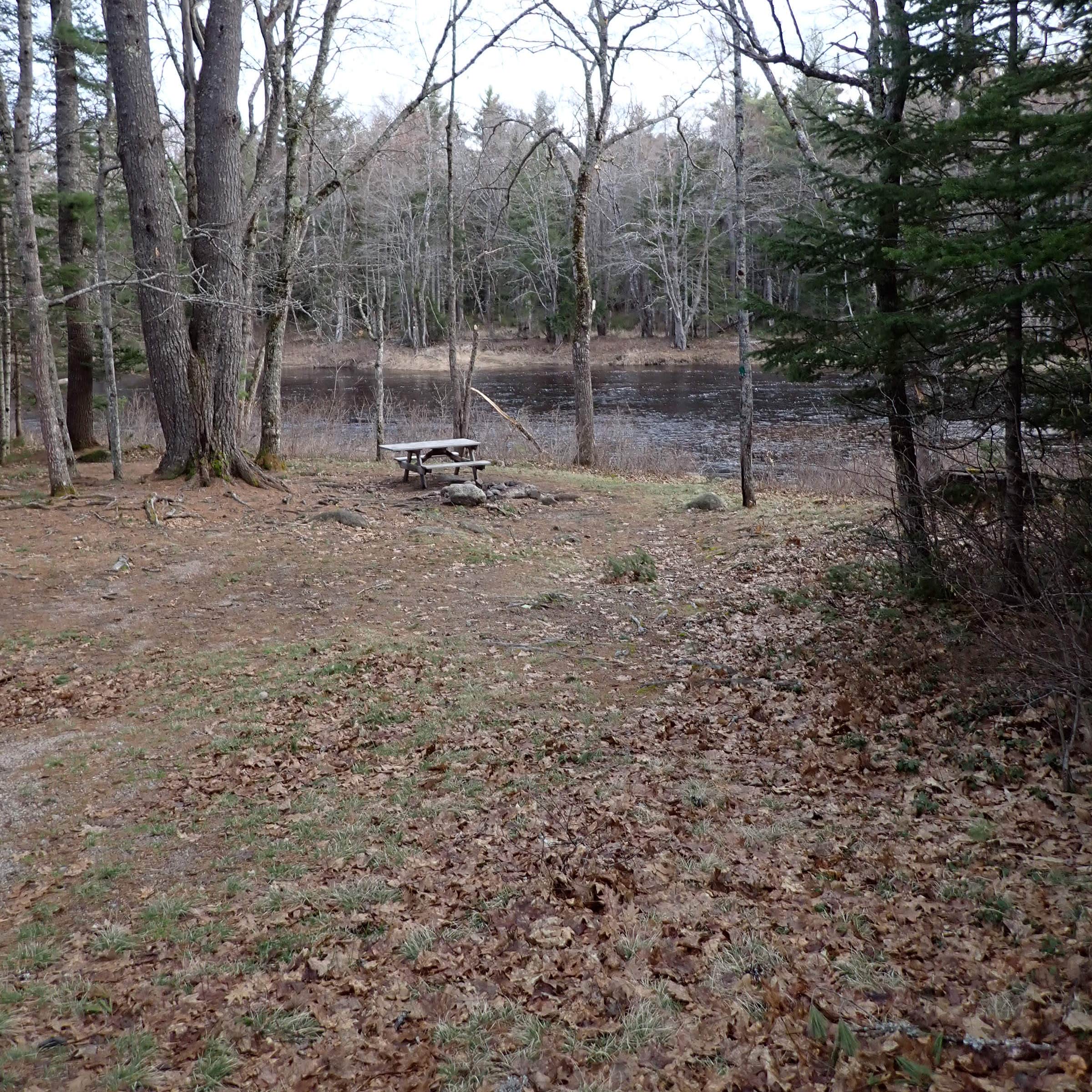 Machias Rips Campsite Camping | The Dyrt