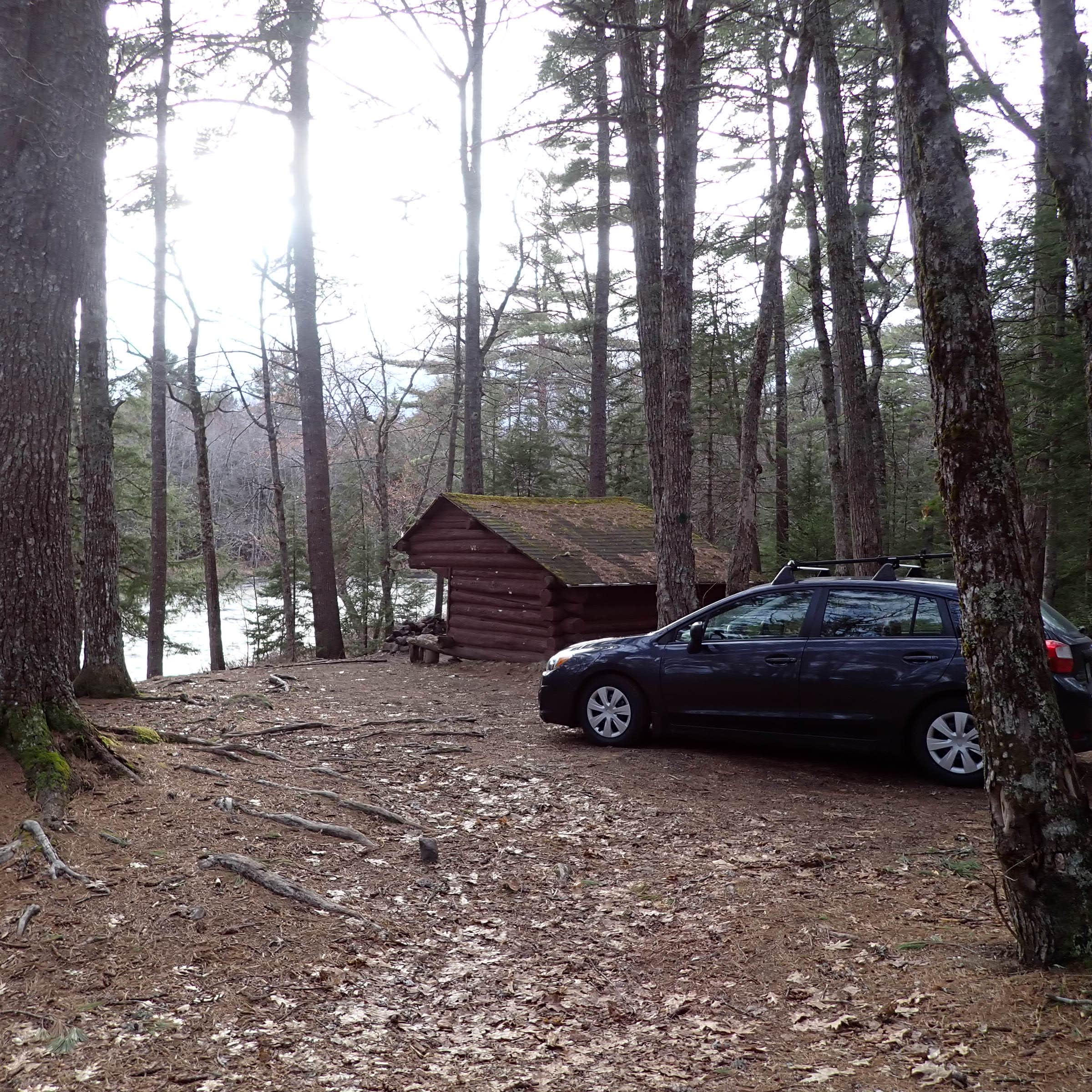 Machias Rips Campsite Camping | The Dyrt