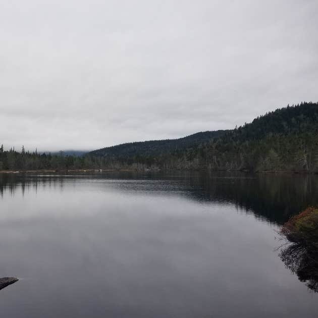 Ethan Pond Shelter Camping | Bretton Woods, New Hampshire
