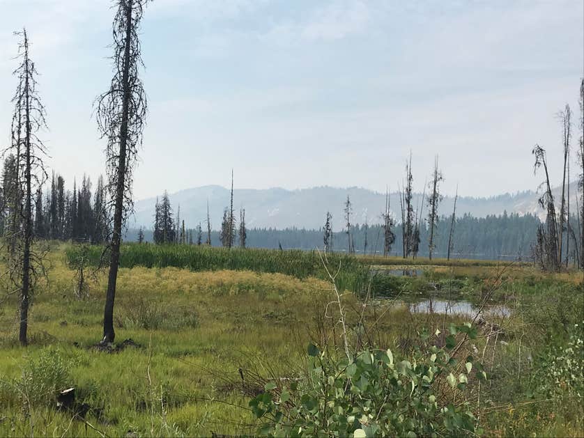 Boise National Forest Warm Lake Campground | The Dyrt