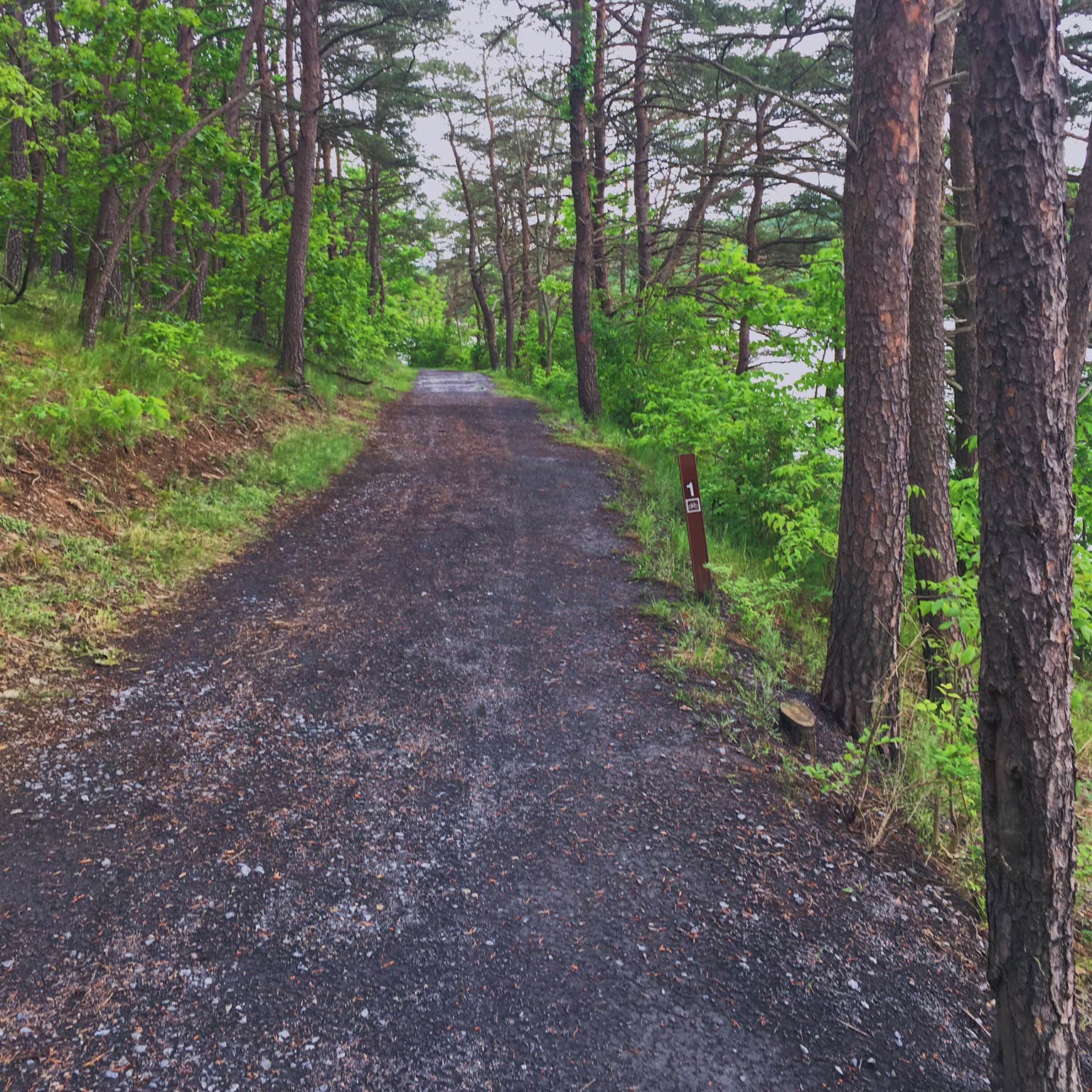 Shawnee State Park Camping | The Dyrt