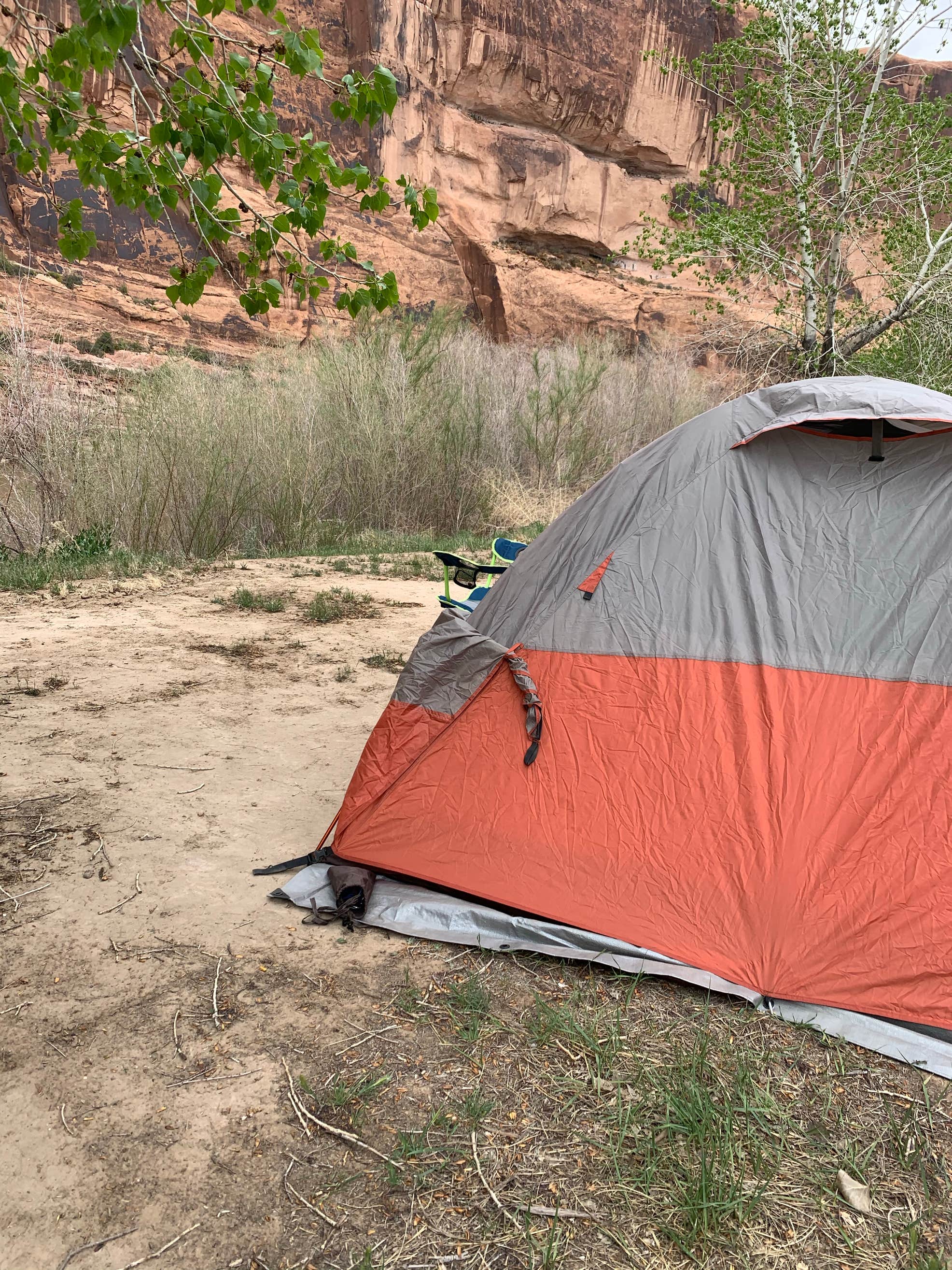 Goose Island Campground | The Dyrt