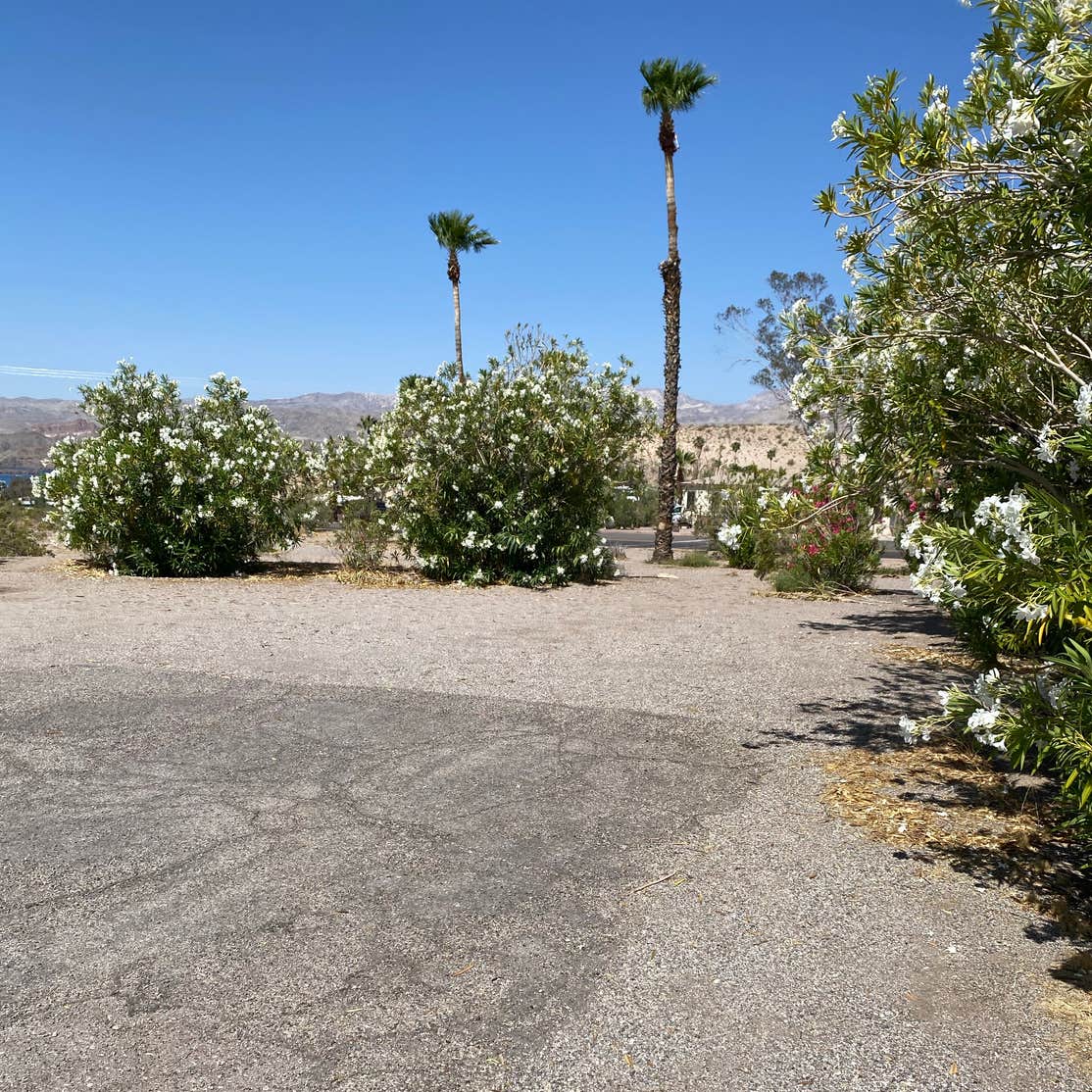 Katherine Landing South Campground Camping | The Dyrt