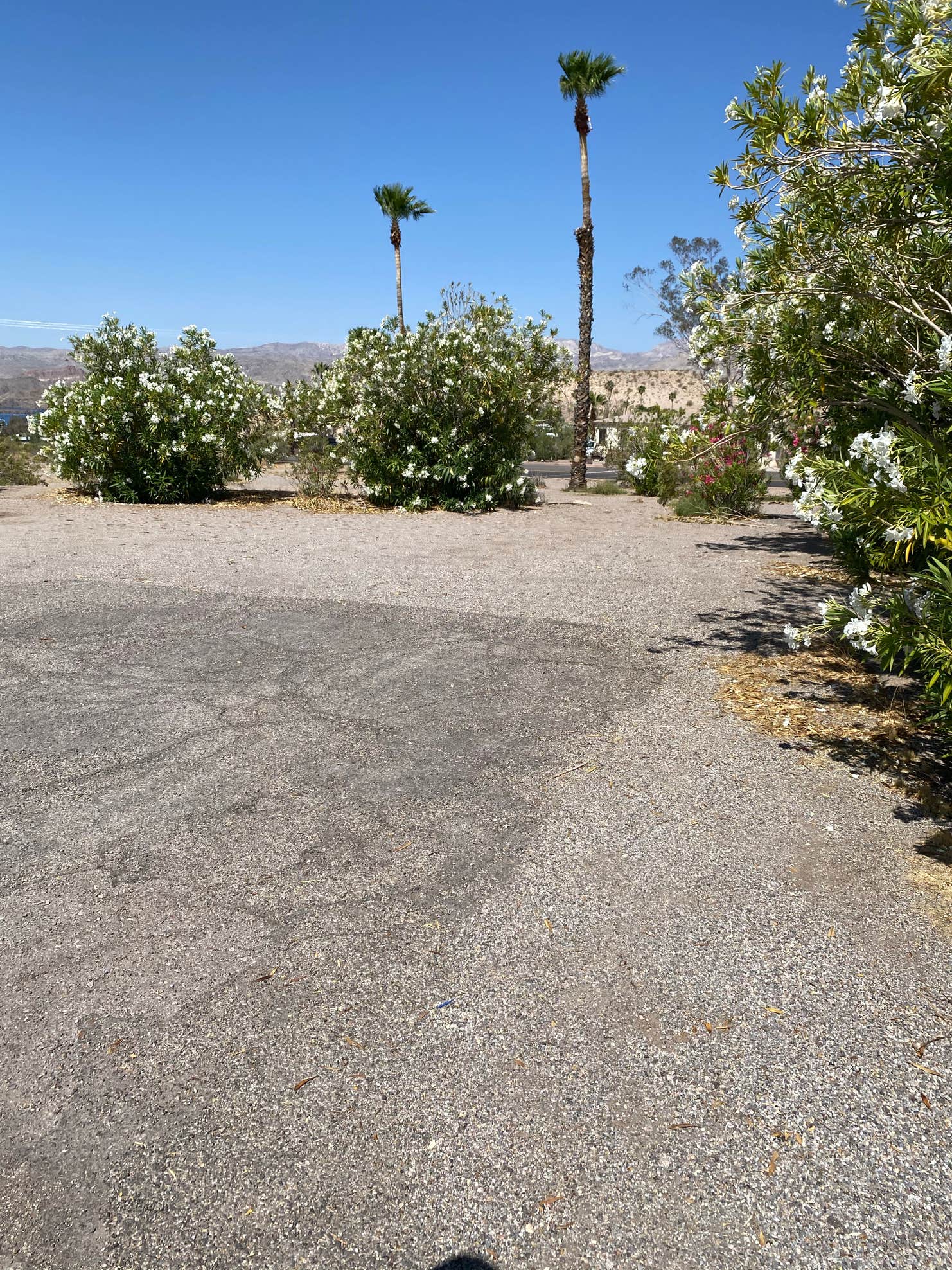 Katherine Landing South Campground Camping | The Dyrt