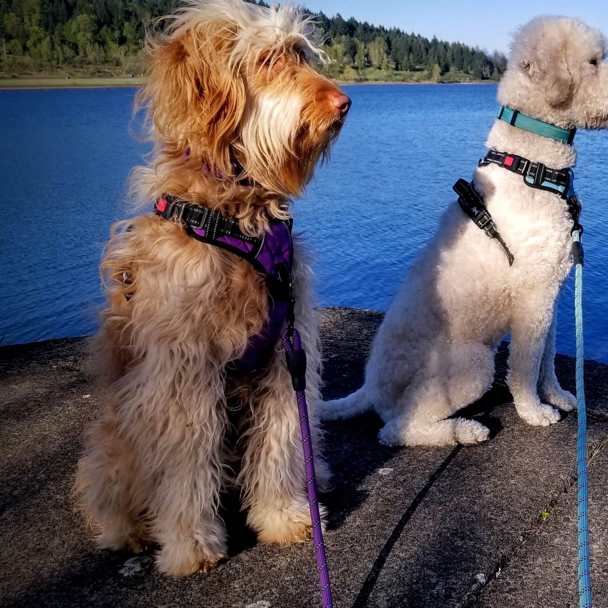 Richardson Park & Campground - A Lane County Park | Alvadore, Oregon