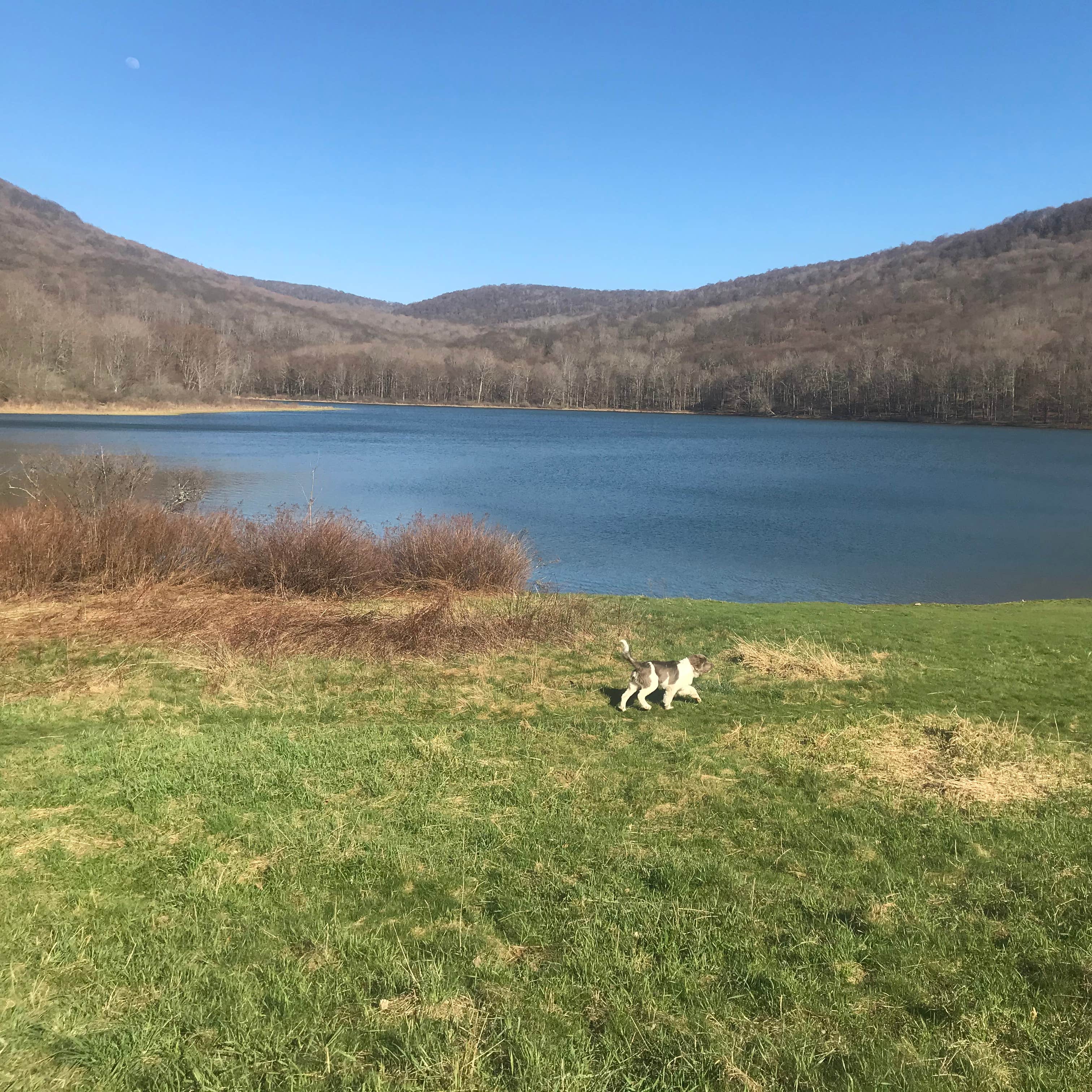 Alder lake Camping | The Dyrt