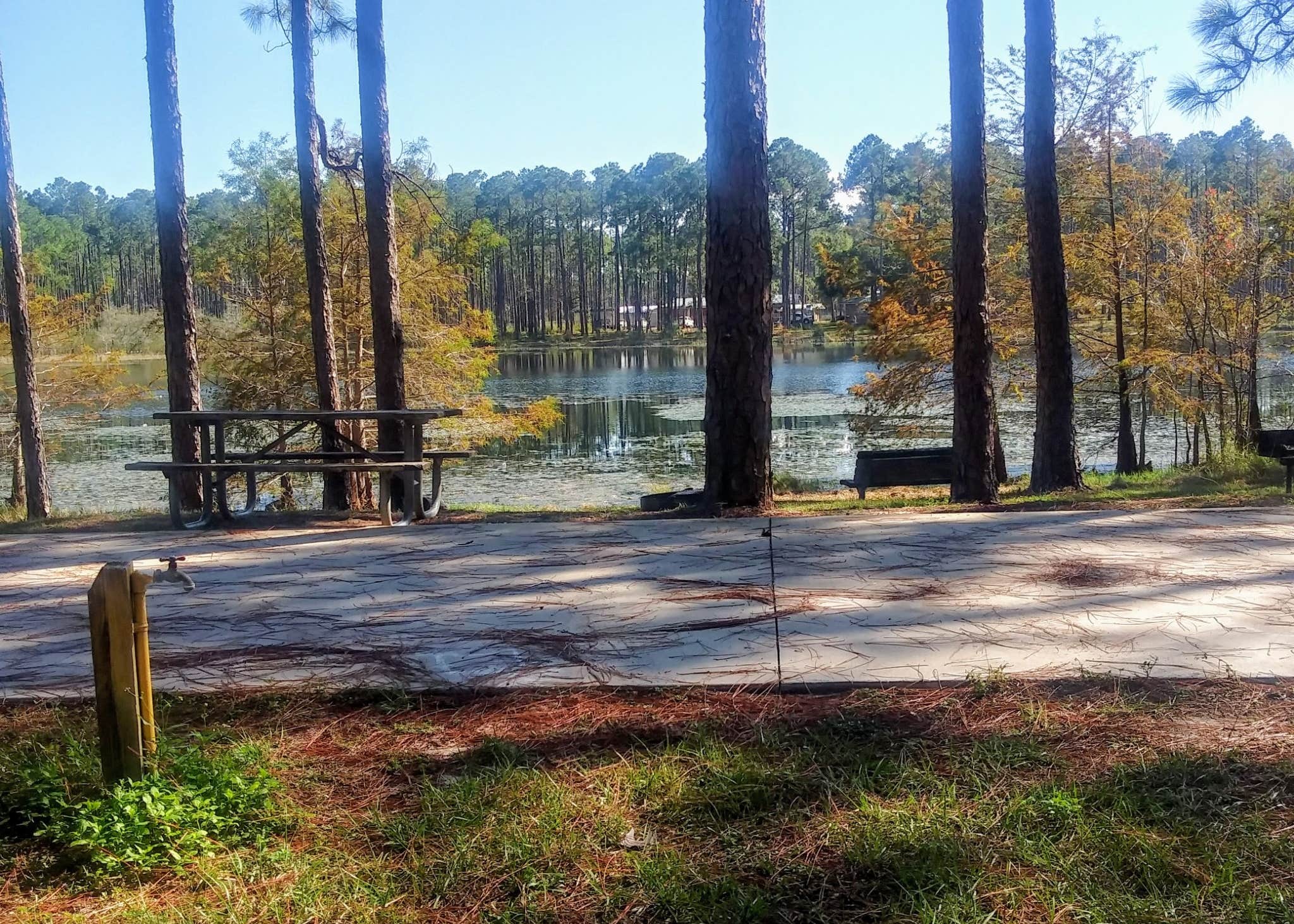 Sand Pond Campground - Pine Log State Forest Camping | The Dyrt