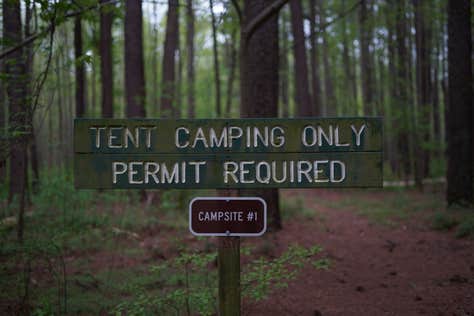 Blackbird State Forest Campground | The Dyrt