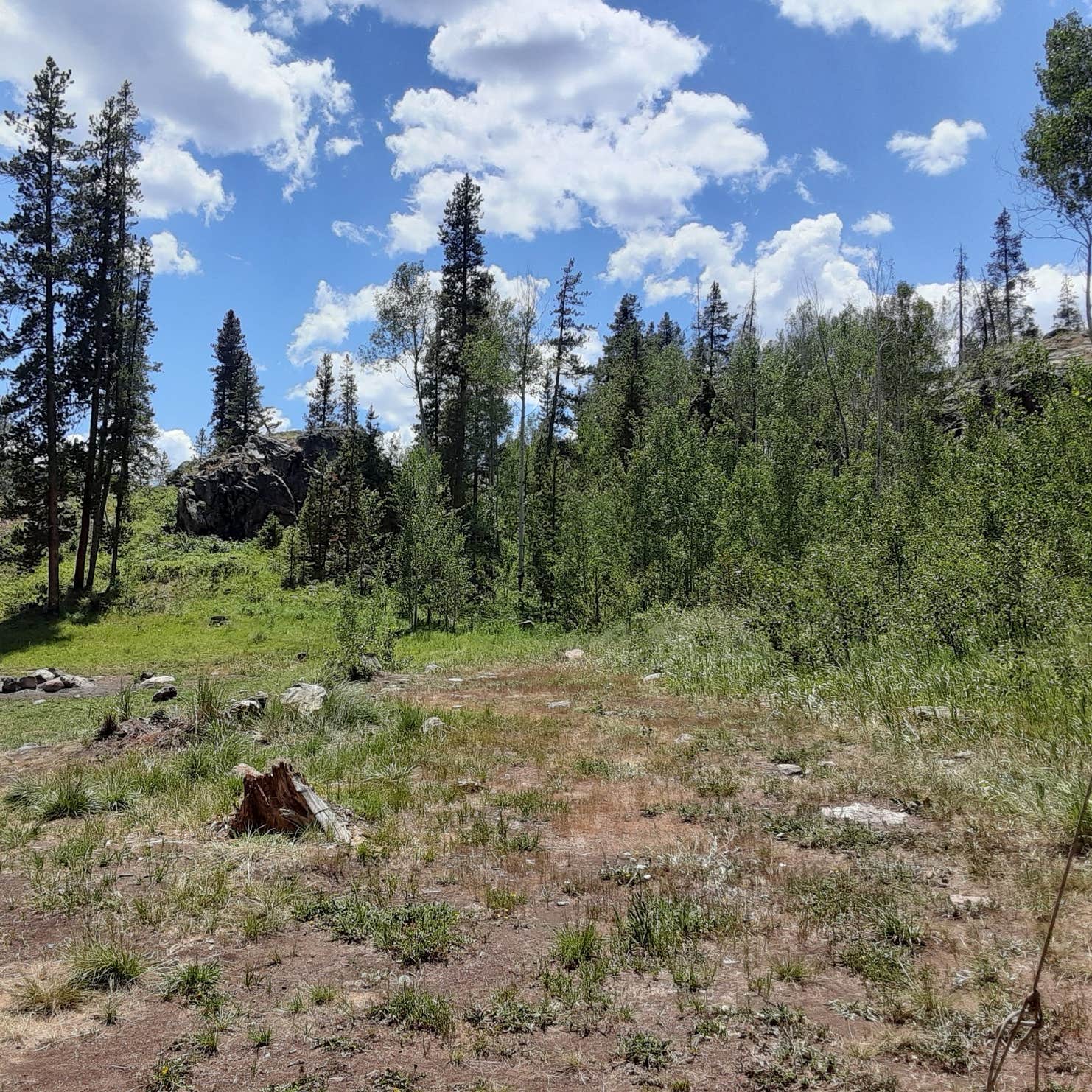 Homestake Road Dispersed - CO Camping | Red Cliff, CO